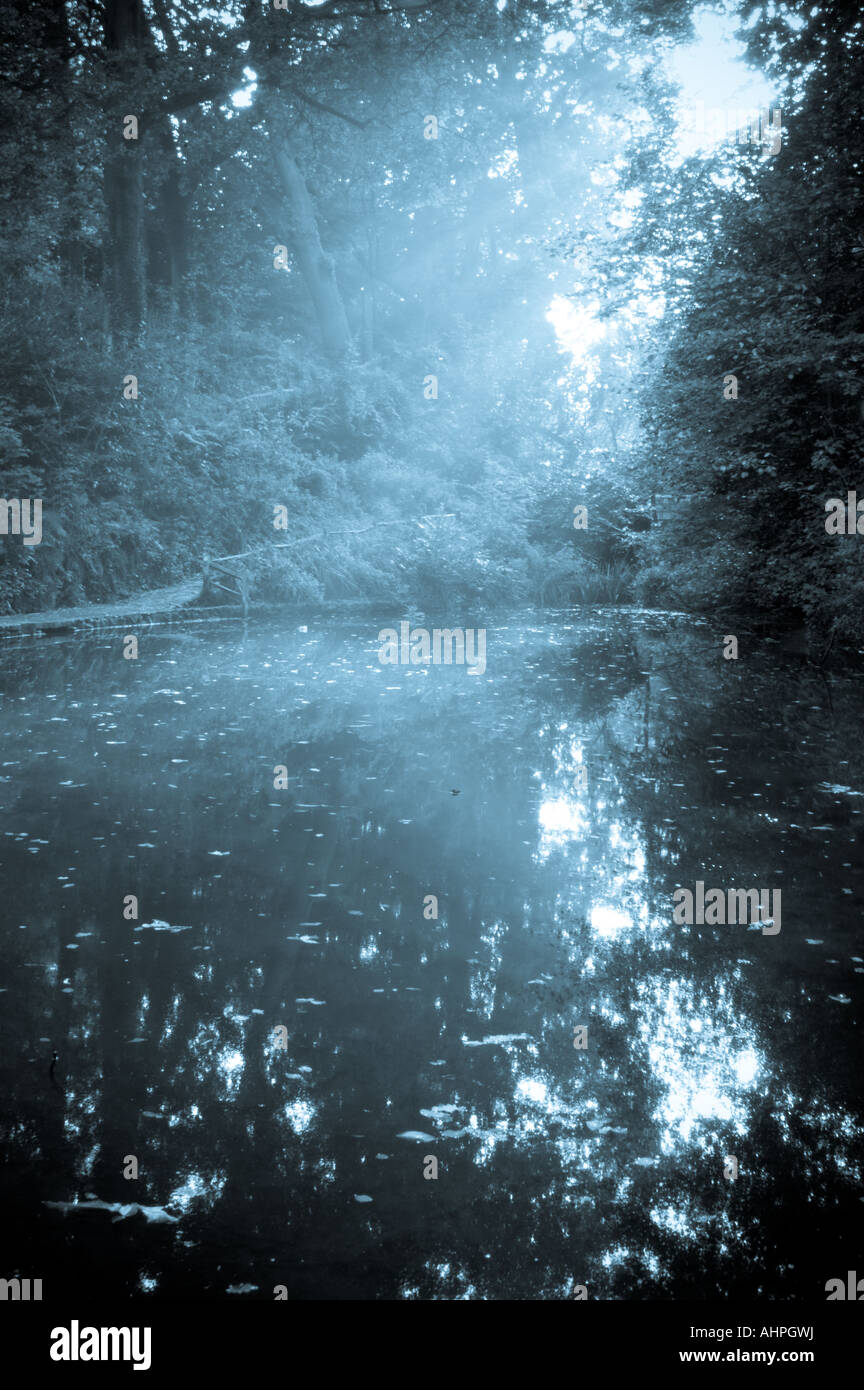 autum color colour dying leaf leaves maple Stock Photo - Alamy