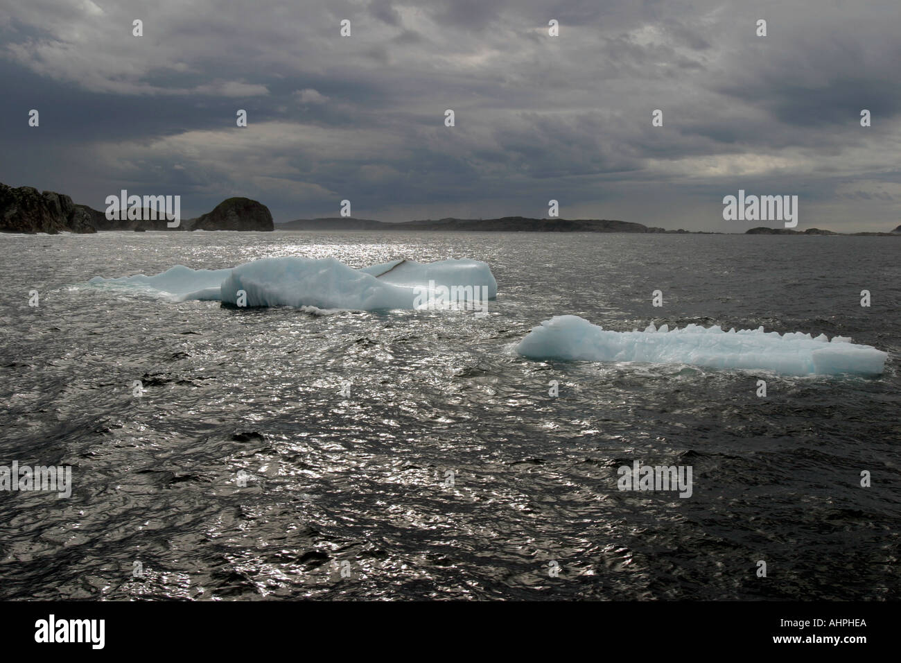 Ice shells floating on sea in iceberg alley, Newfoundland Stock Photo ...