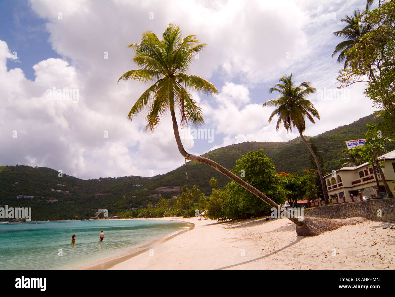 Tropical Beach, BVI, Virgin Islands Stock Photo - Alamy