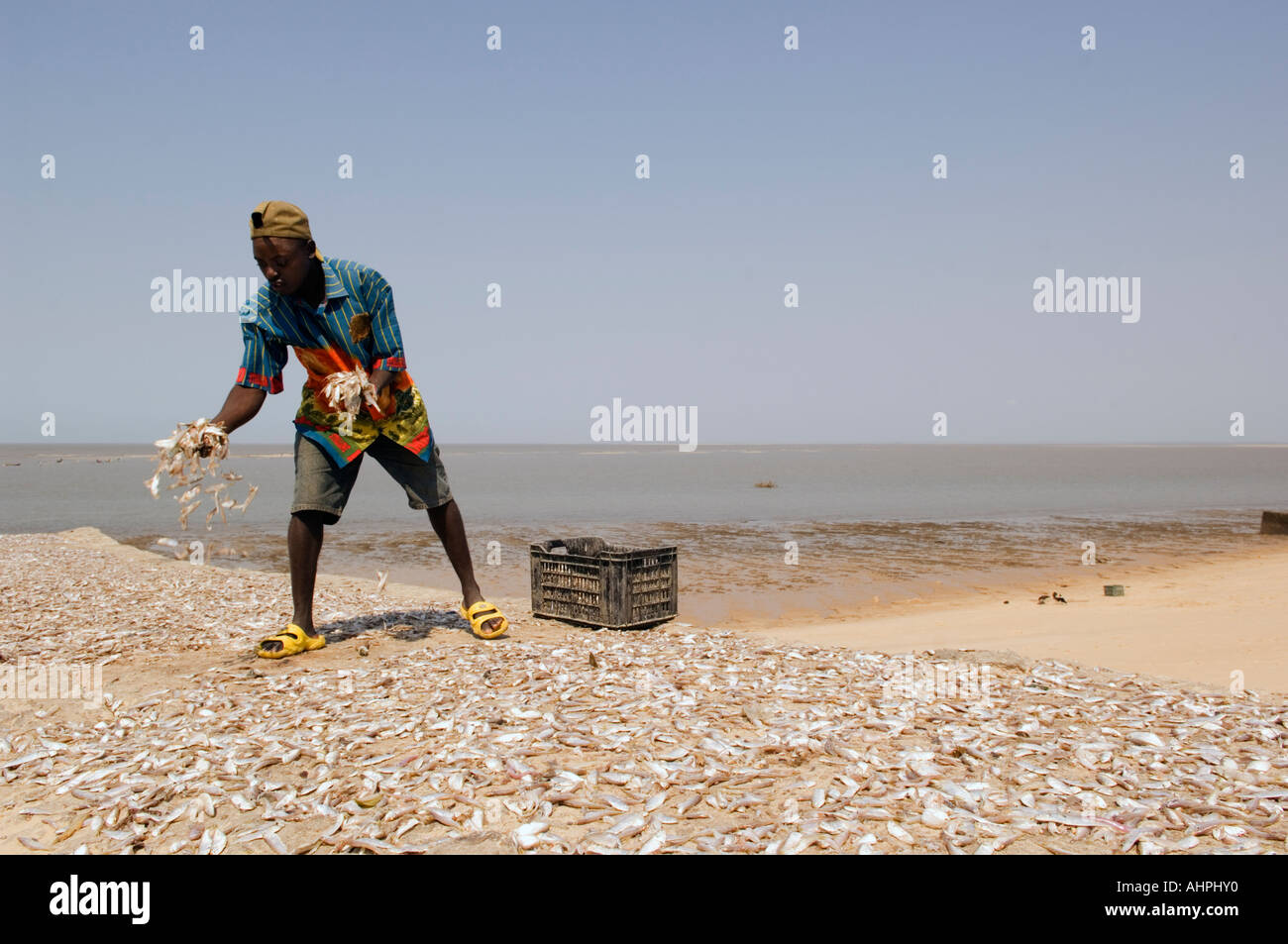 African man drying fish hi-res stock photography and images - Alamy
