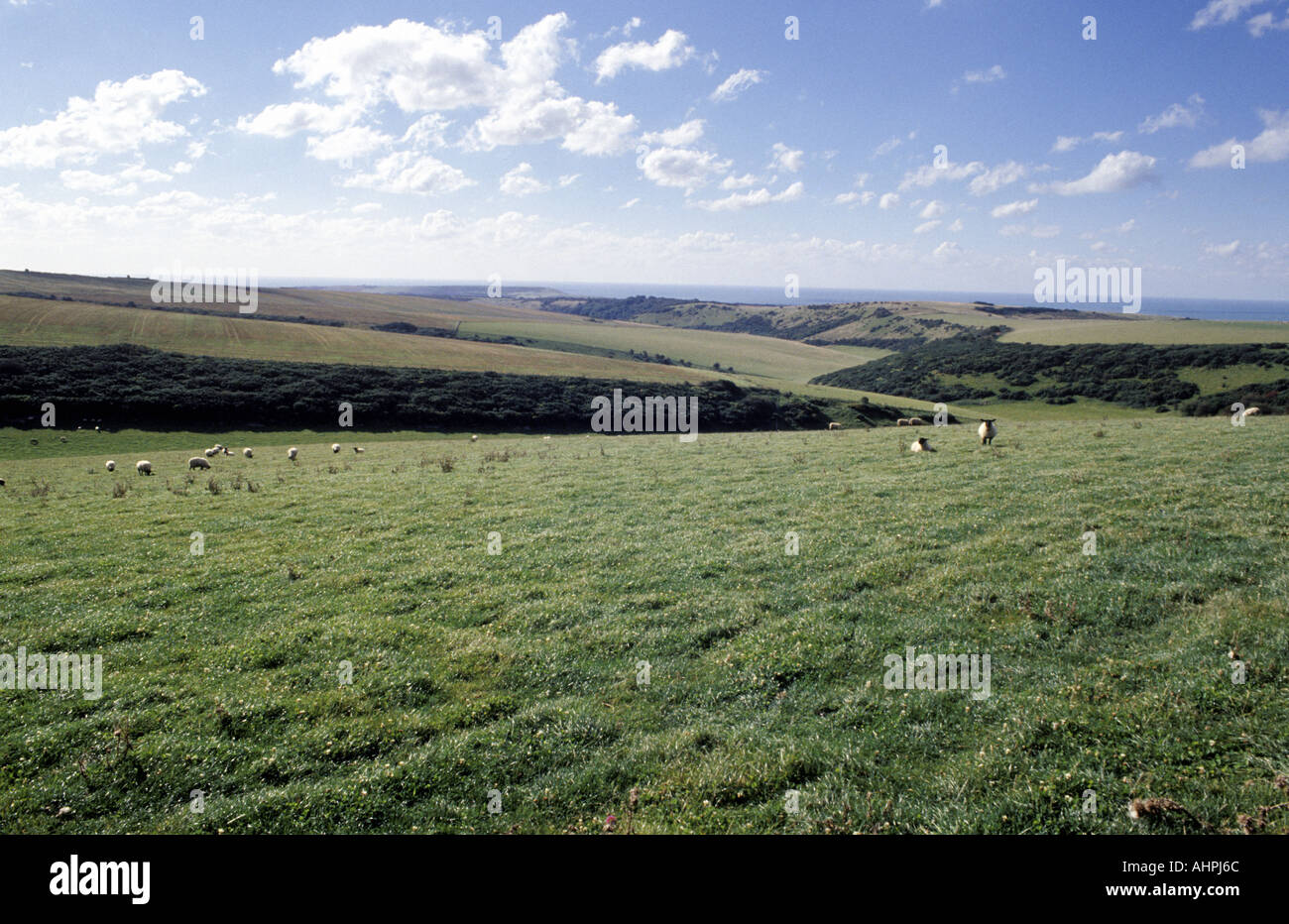 The firle estate hi-res stock photography and images - Alamy