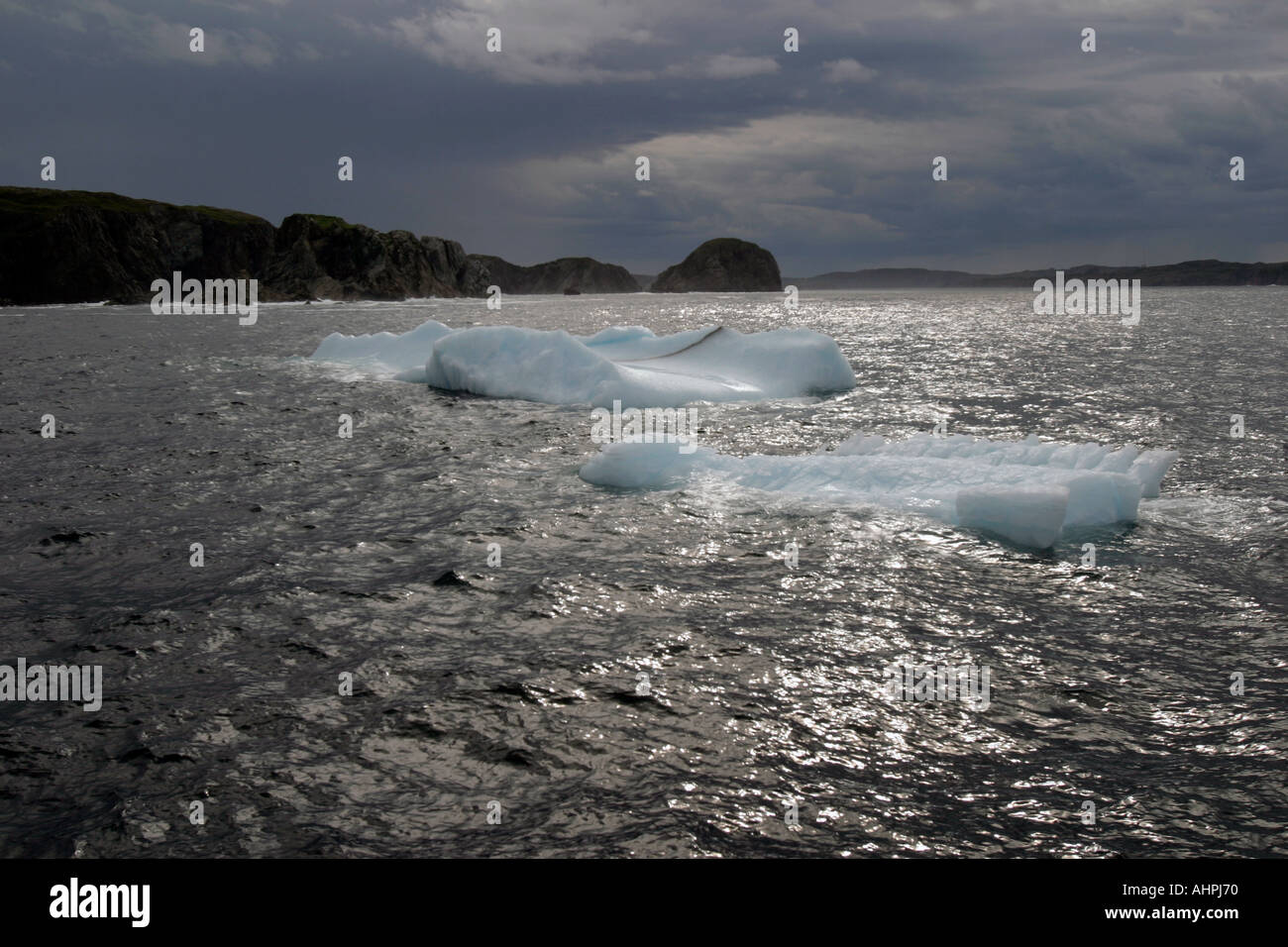 Floating ice shells hi-res stock photography and images - Alamy