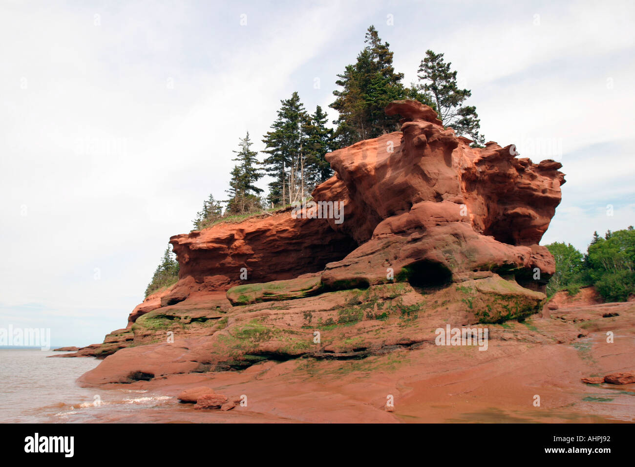 Burntcoat Head, Nova Scotia, Canada Stock Photo - Alamy