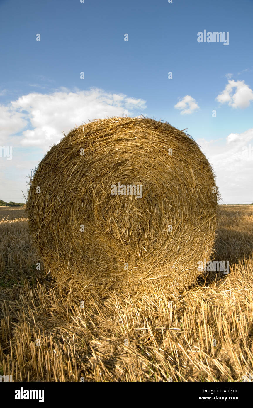 Field barn surrey hi-res stock photography and images - Alamy