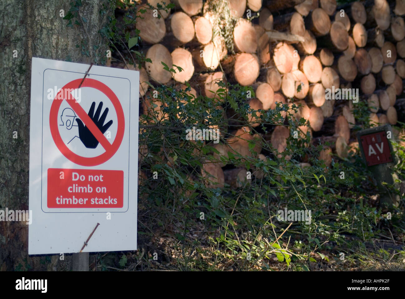 sign in woods warning about the danger of climbing on a wood stack ...