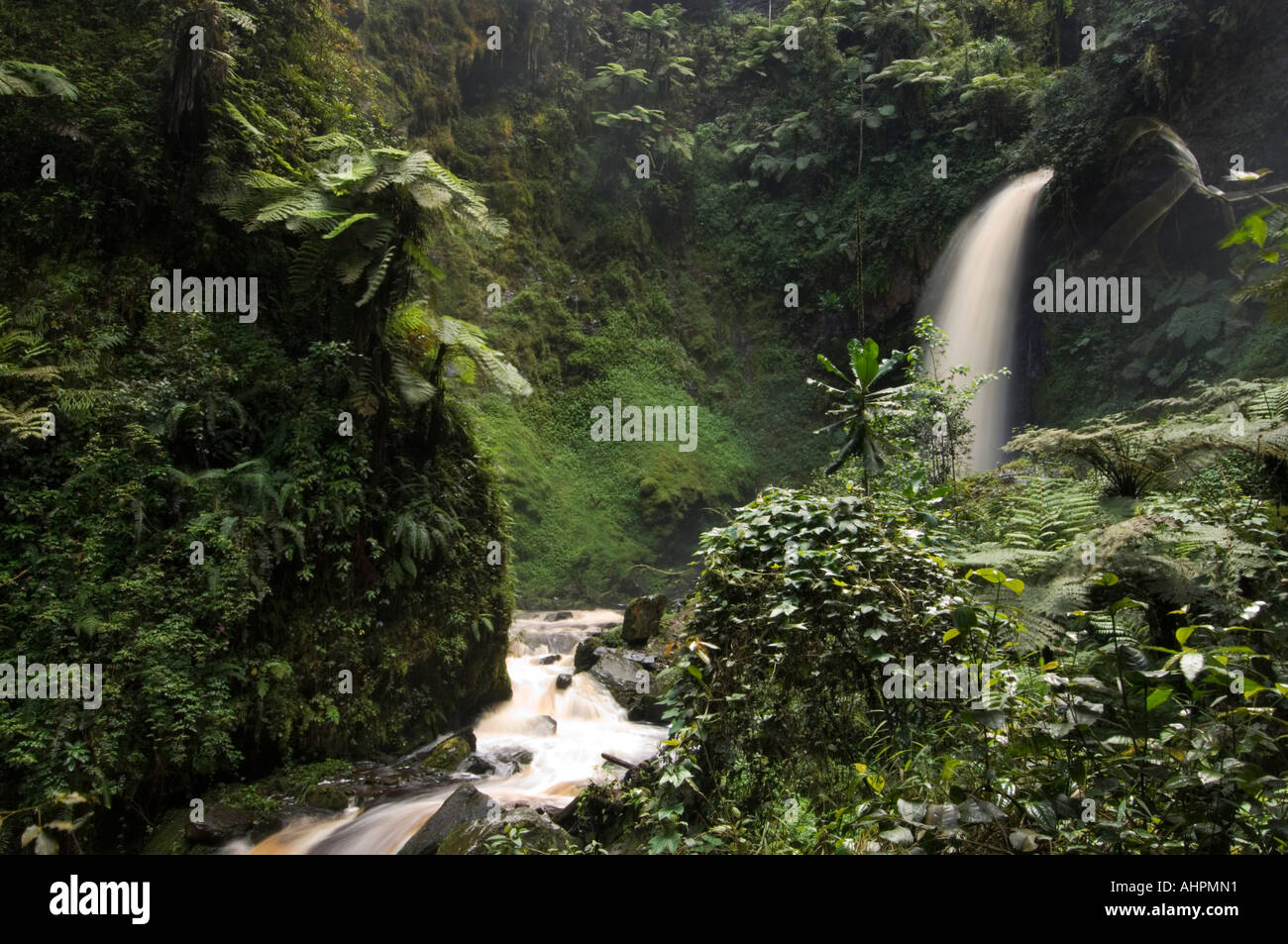 waterfall in Nyungwe forest National Park, Rwanda Stock Photo - Alamy