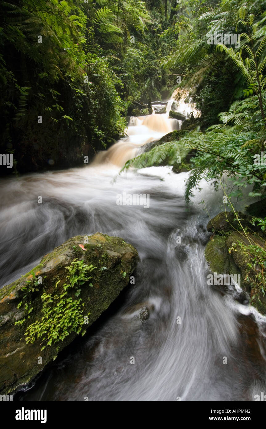 Albertine rift rwanda hi-res stock photography and images - Alamy