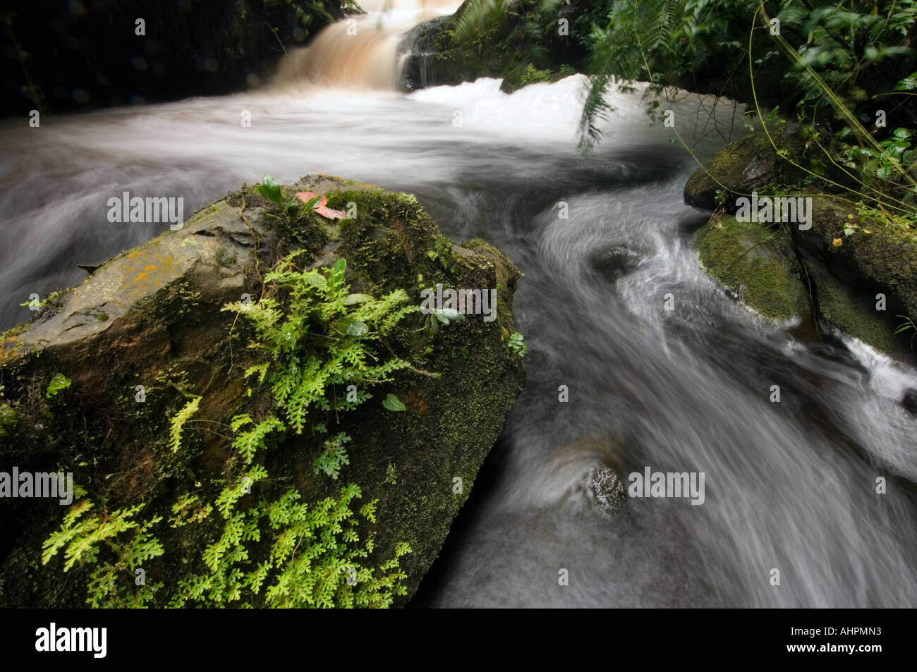 waterfall in Nyungwe forest National Park, Rwanda Stock Photo - Alamy