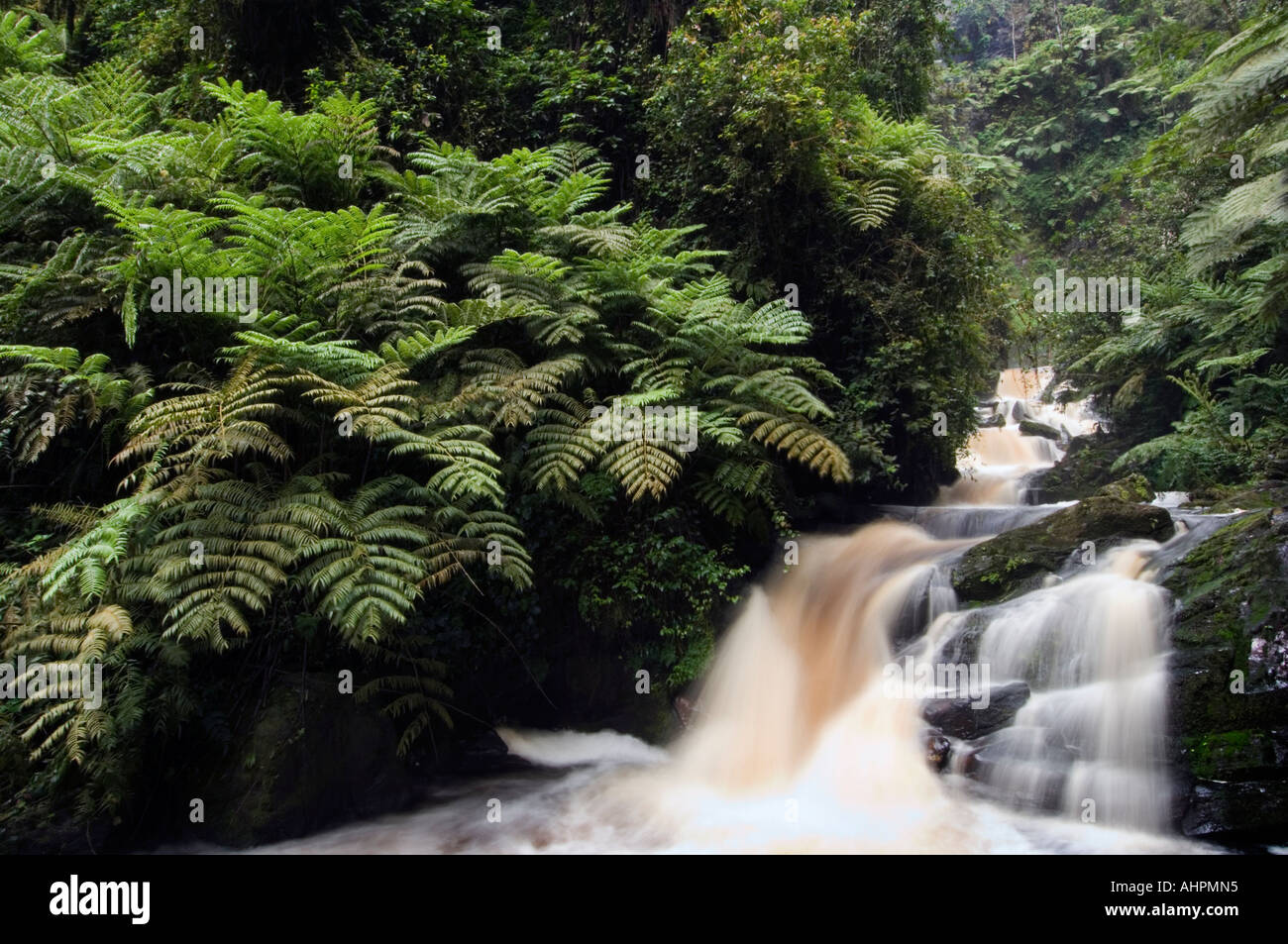 waterfall in Nyungwe forest National Park, Rwanda Stock Photo - Alamy
