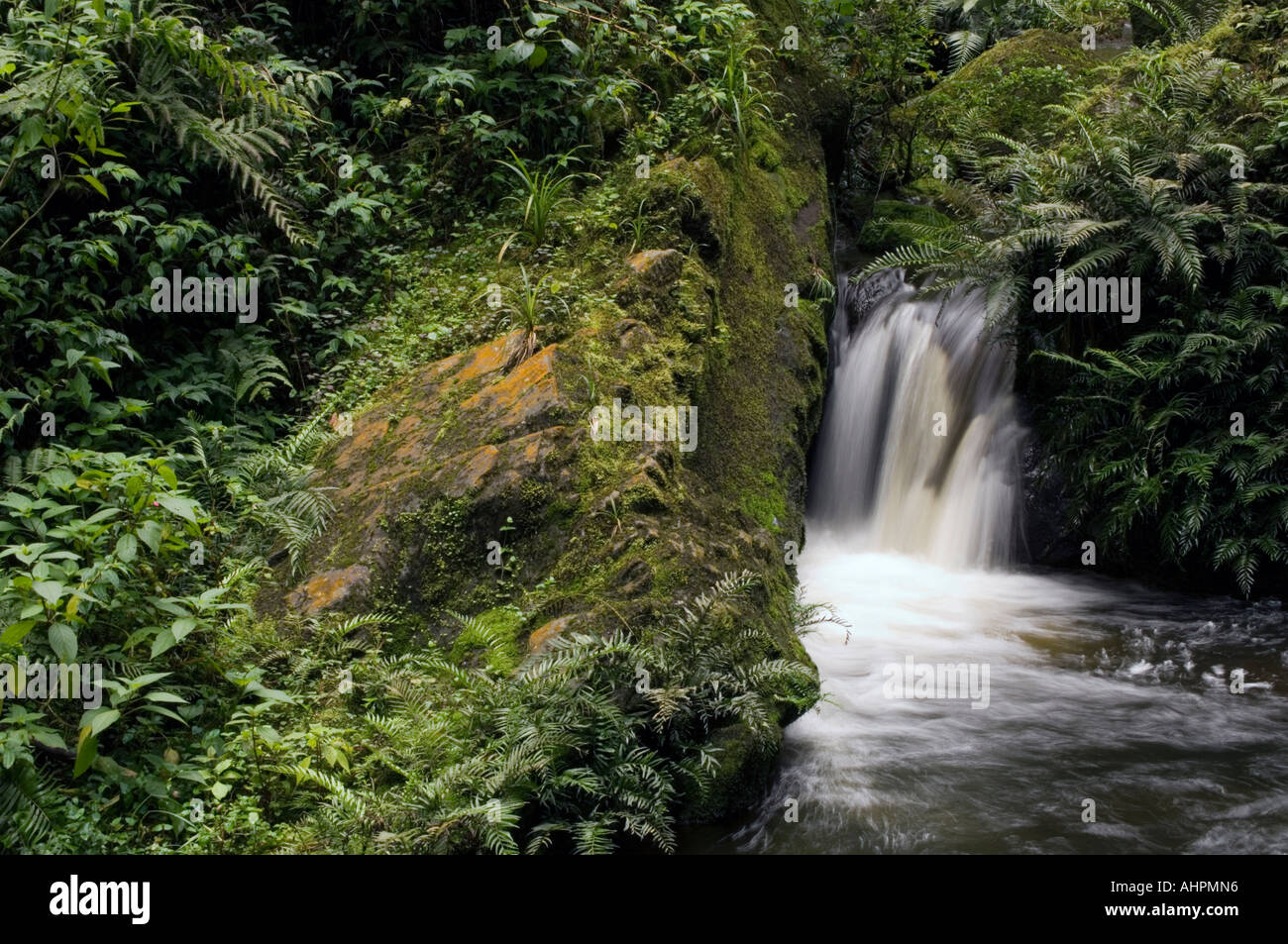 waterfall in Nyungwe forest National Park, Rwanda Stock Photo - Alamy