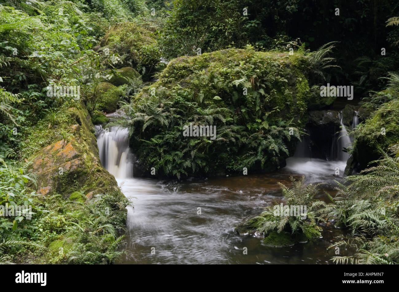 waterfall in Nyungwe forest National Park, Rwanda Stock Photo - Alamy