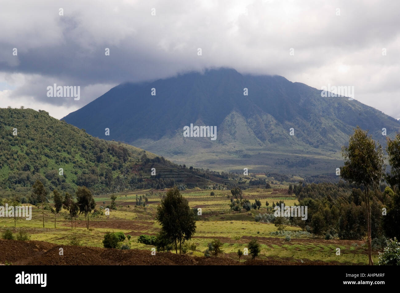 Volcano, Volcanoes National Park, Rwanda Stock Photo - Alamy