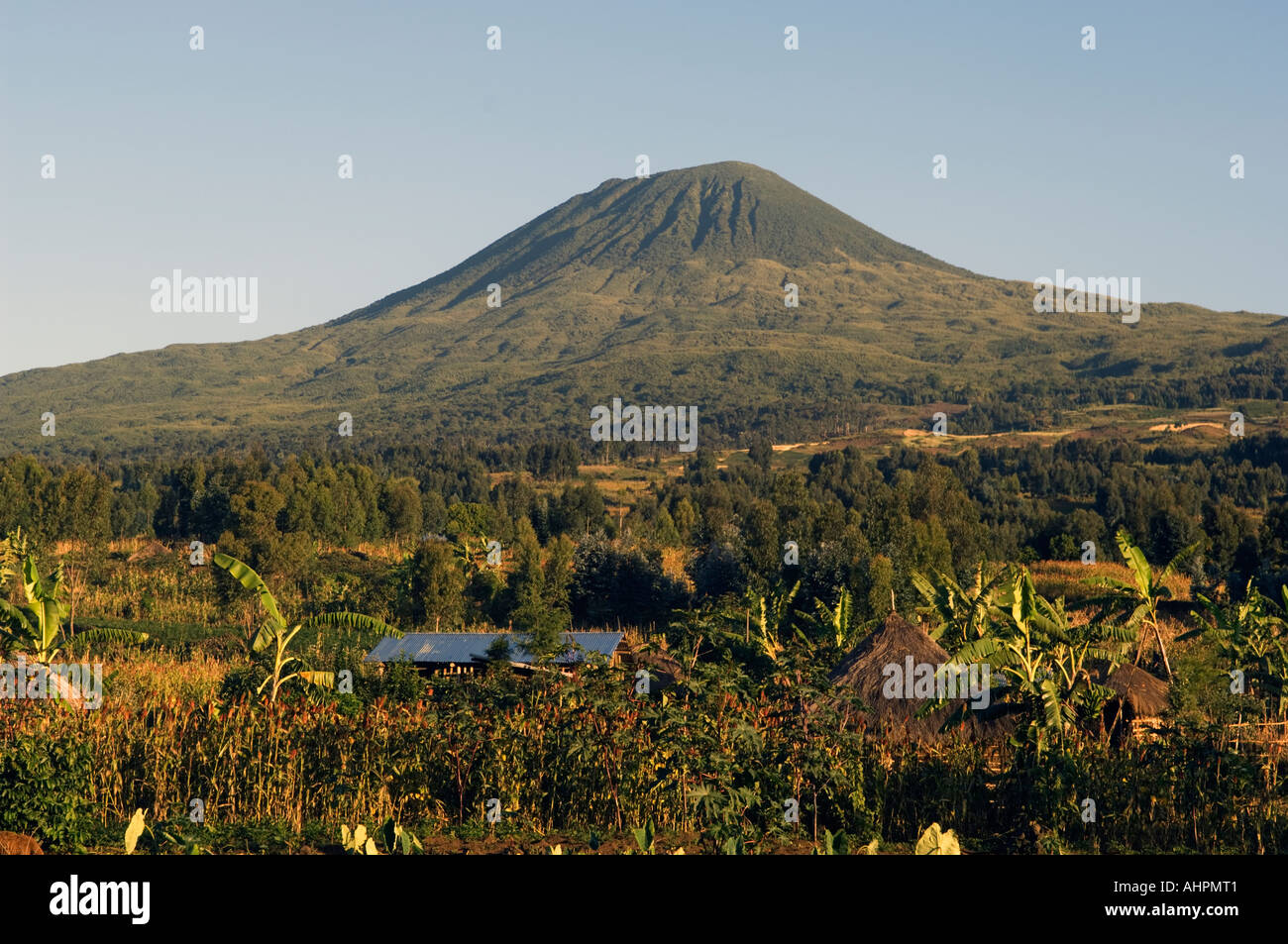 volcano Muhabura, Volcanos National Park, Rwanda Stock Photo - Alamy