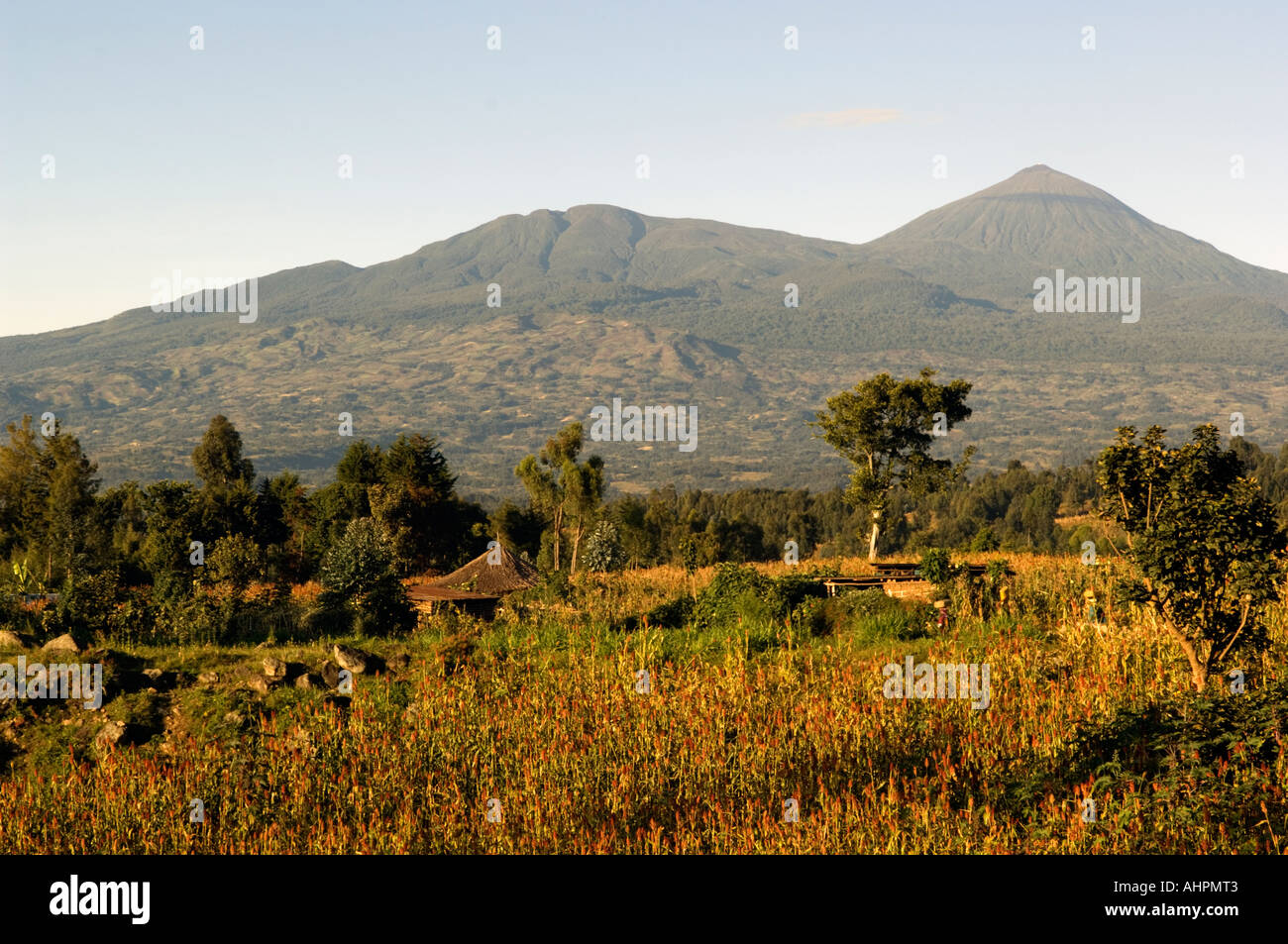Volcano in Volcanos National Park, Rwanda Stock Photo - Alamy
