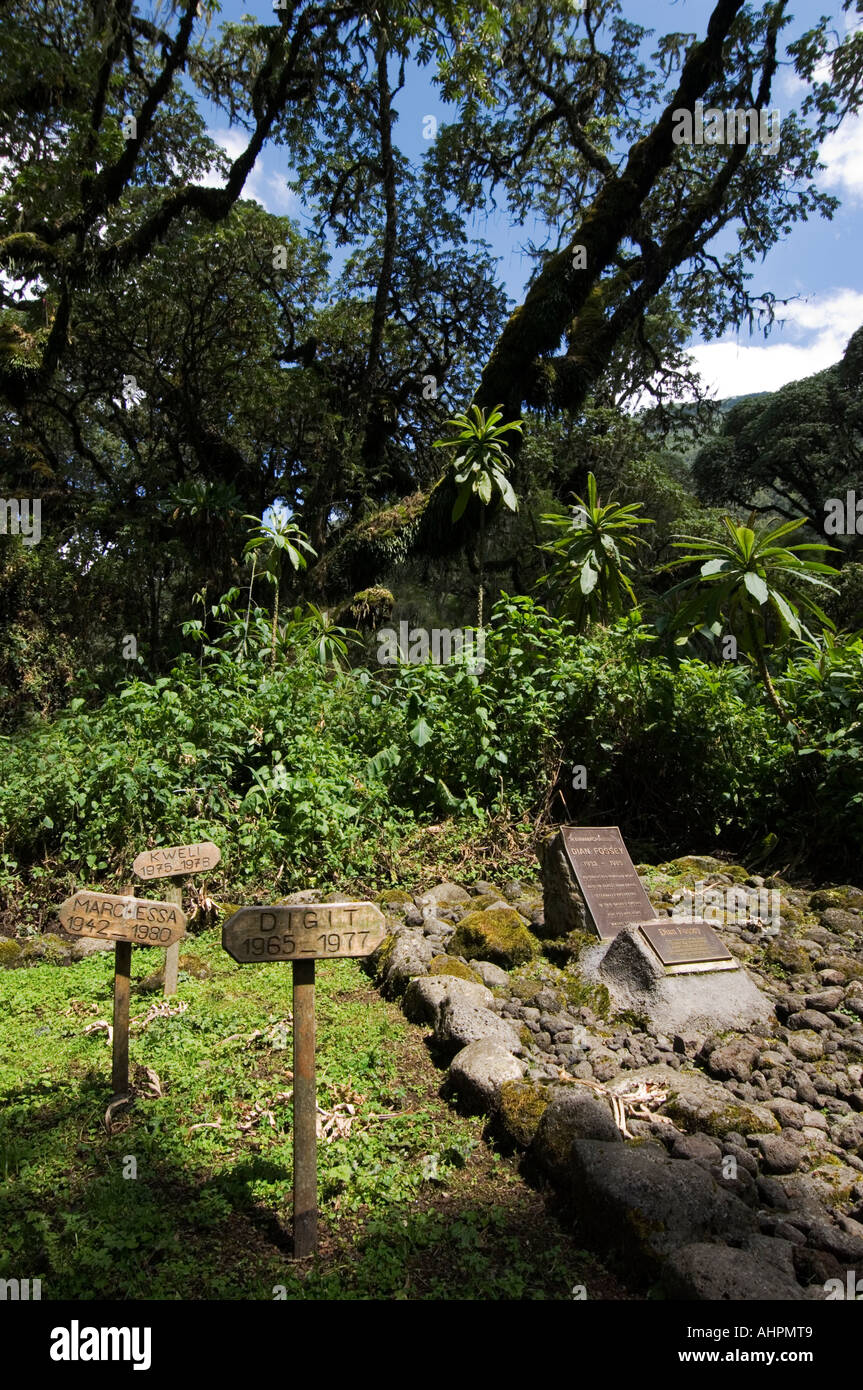 Dian Fossey's grave next to the gorilla graveyard at Karisoke Research ...