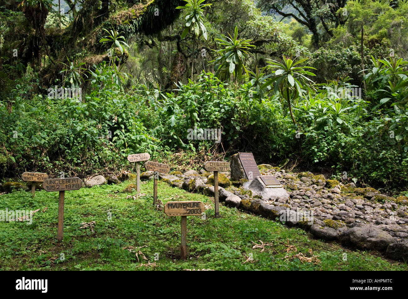Dian Fossey's grave next to the gorilla graveyard at Karisoke Research ...