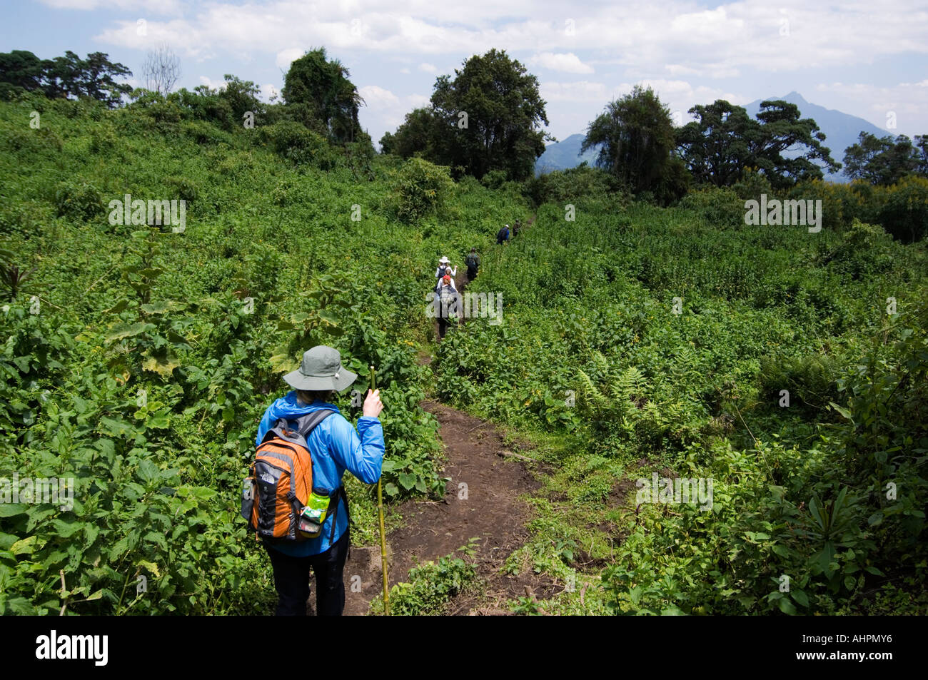 tourists hiking, Volcanoes National Park, Rwanda Stock Photo - Alamy