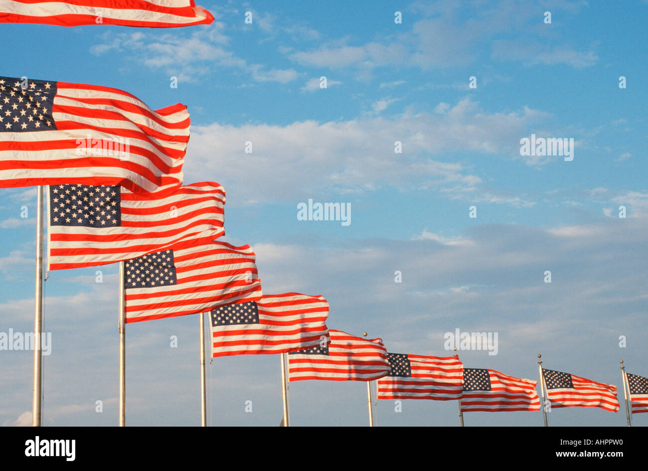 Ten American flags flying at Washington National Monument Washington D ...