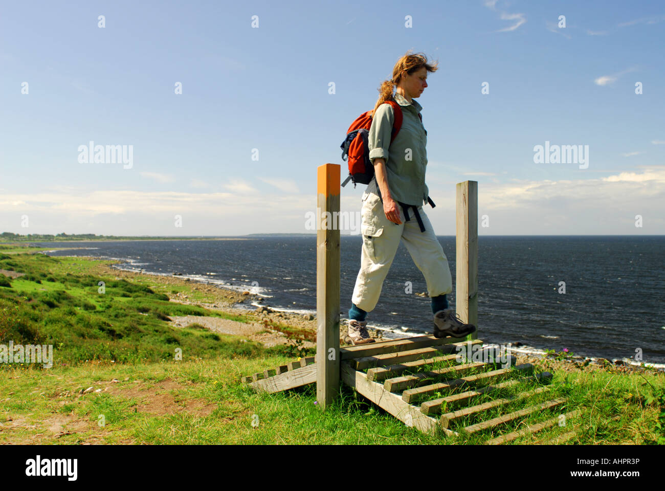 A female walker on the Skaneleden coastal footpath Skane Sweden ...