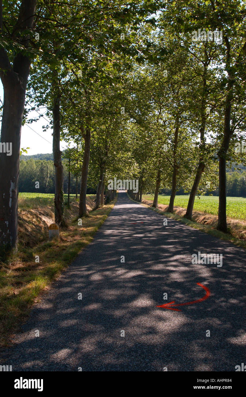 Typical french tree lined road hi-res stock photography and images - Alamy