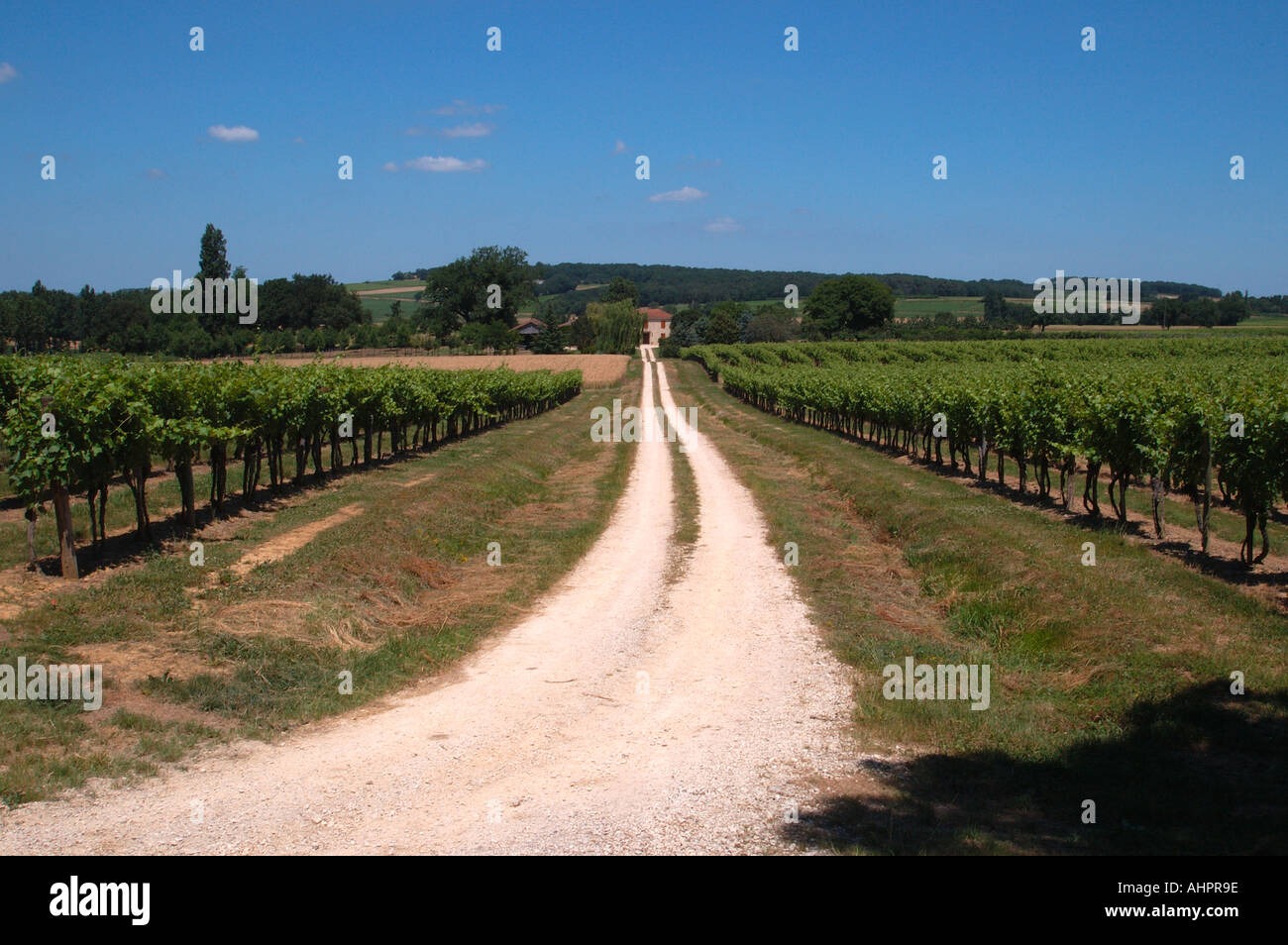 Gers region hi-res stock photography and images - Alamy