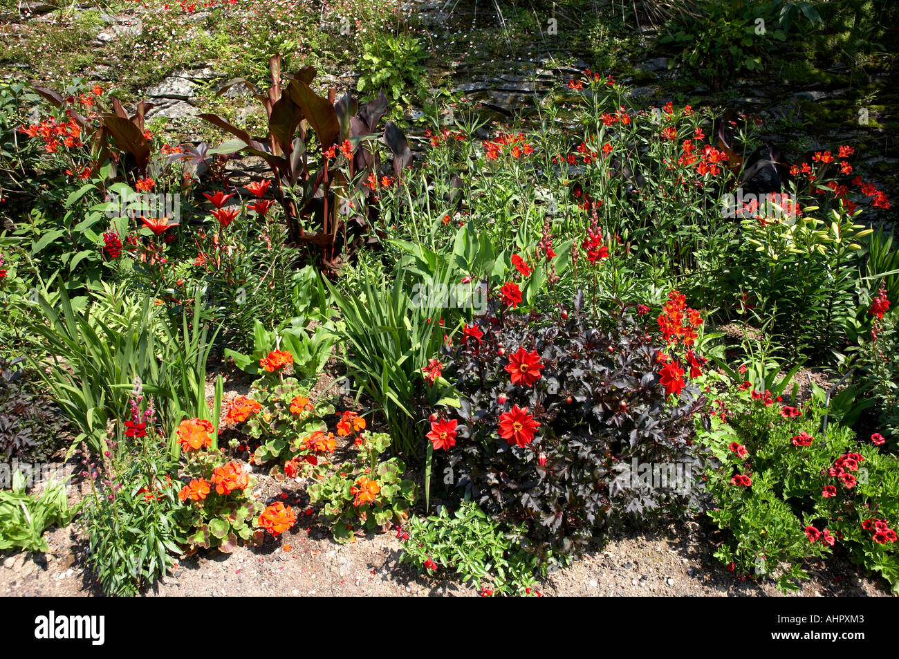 detail of a plant border devon england europe uk Stock Photo - Alamy