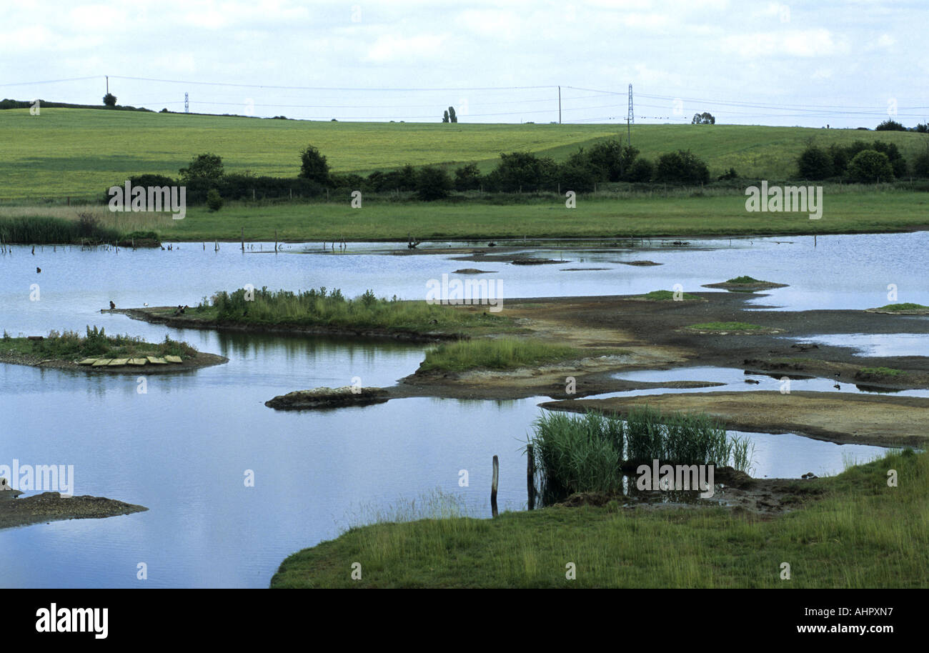 Upton warren wetland reserve hi-res stock photography and images - Alamy
