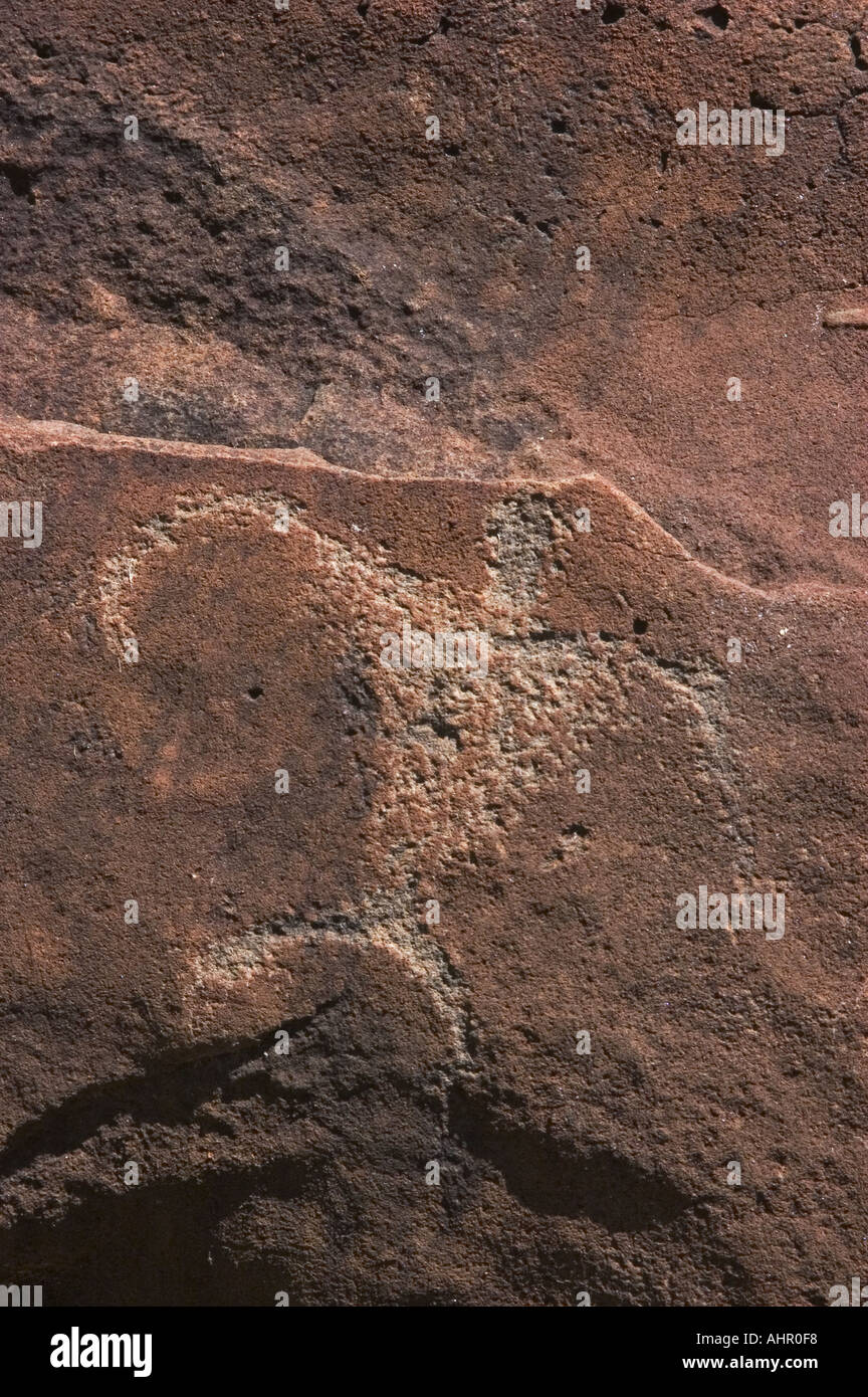 Ancient Hawaiian petroglyph carved in lava rock near Shipwreck Beach ...