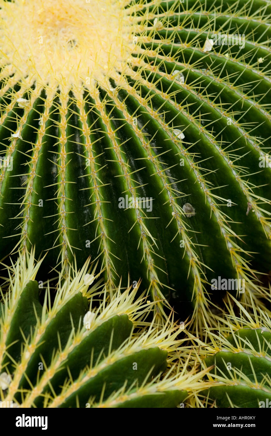 Kew gardens in middlesex hi-res stock photography and images - Alamy