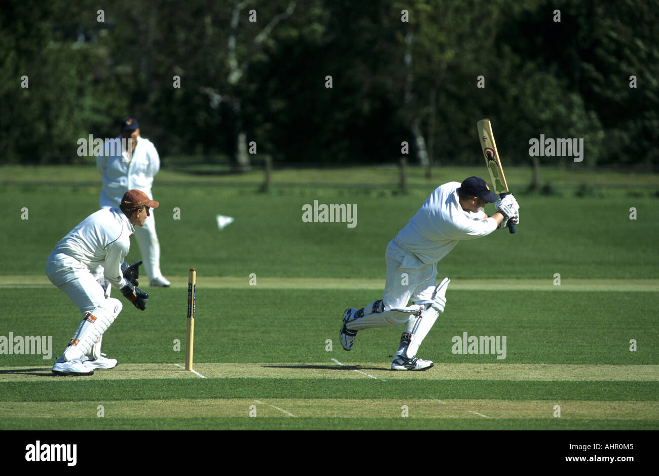 Cricket players in action hi-res stock photography and images - Alamy