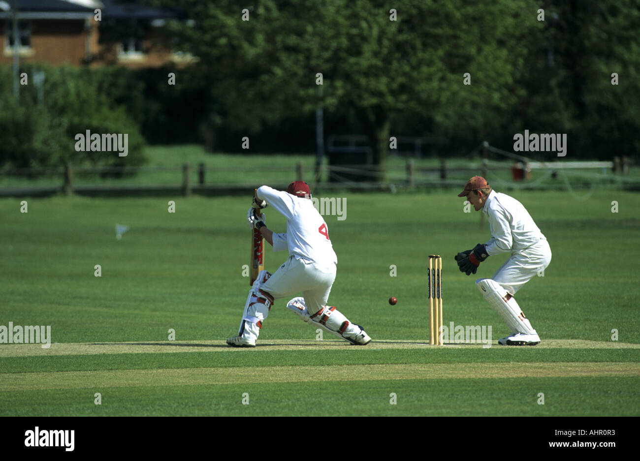 Cricket players in action hi-res stock photography and images - Alamy