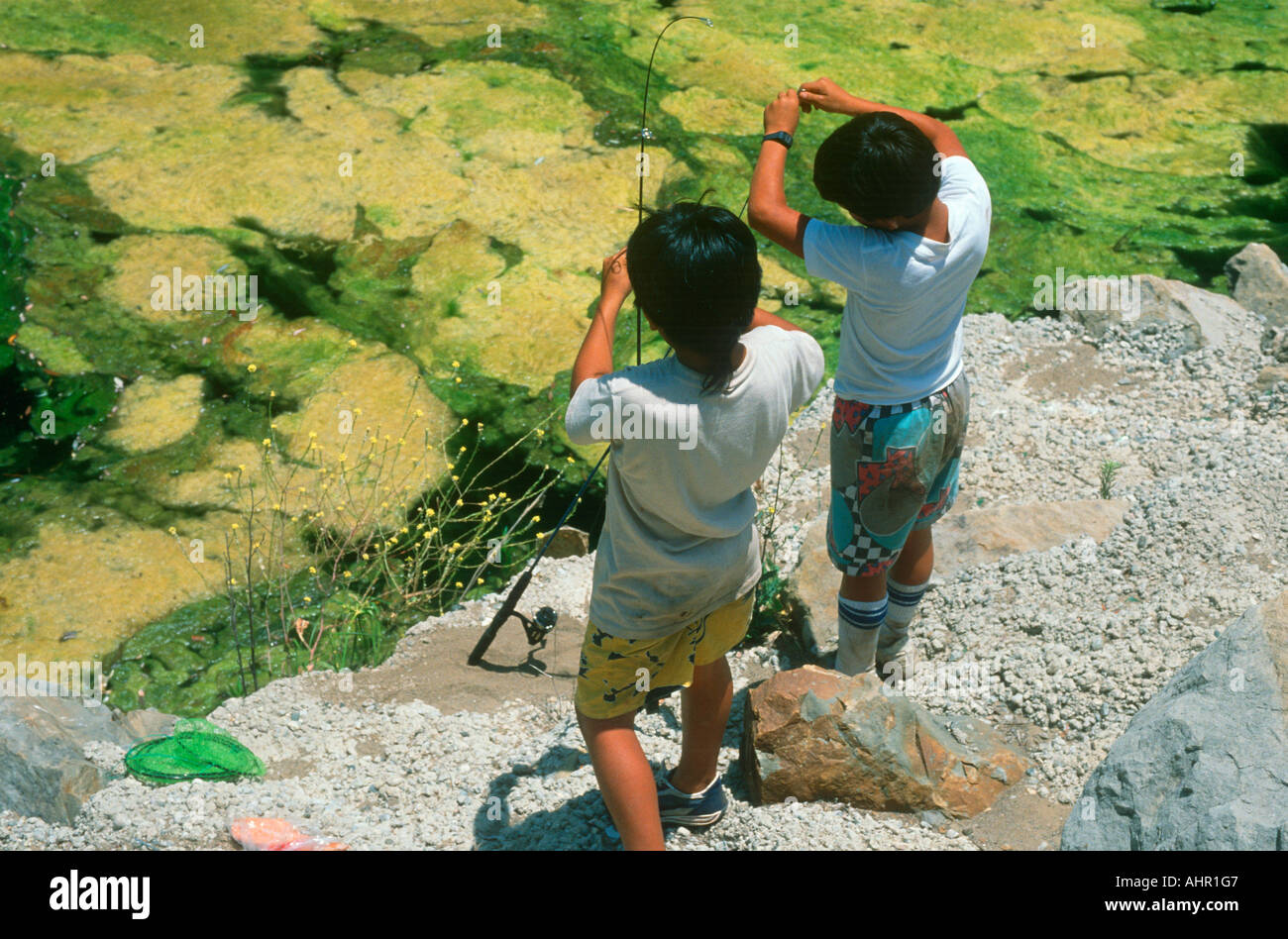 Children pond boys hi-res stock photography and images - Alamy