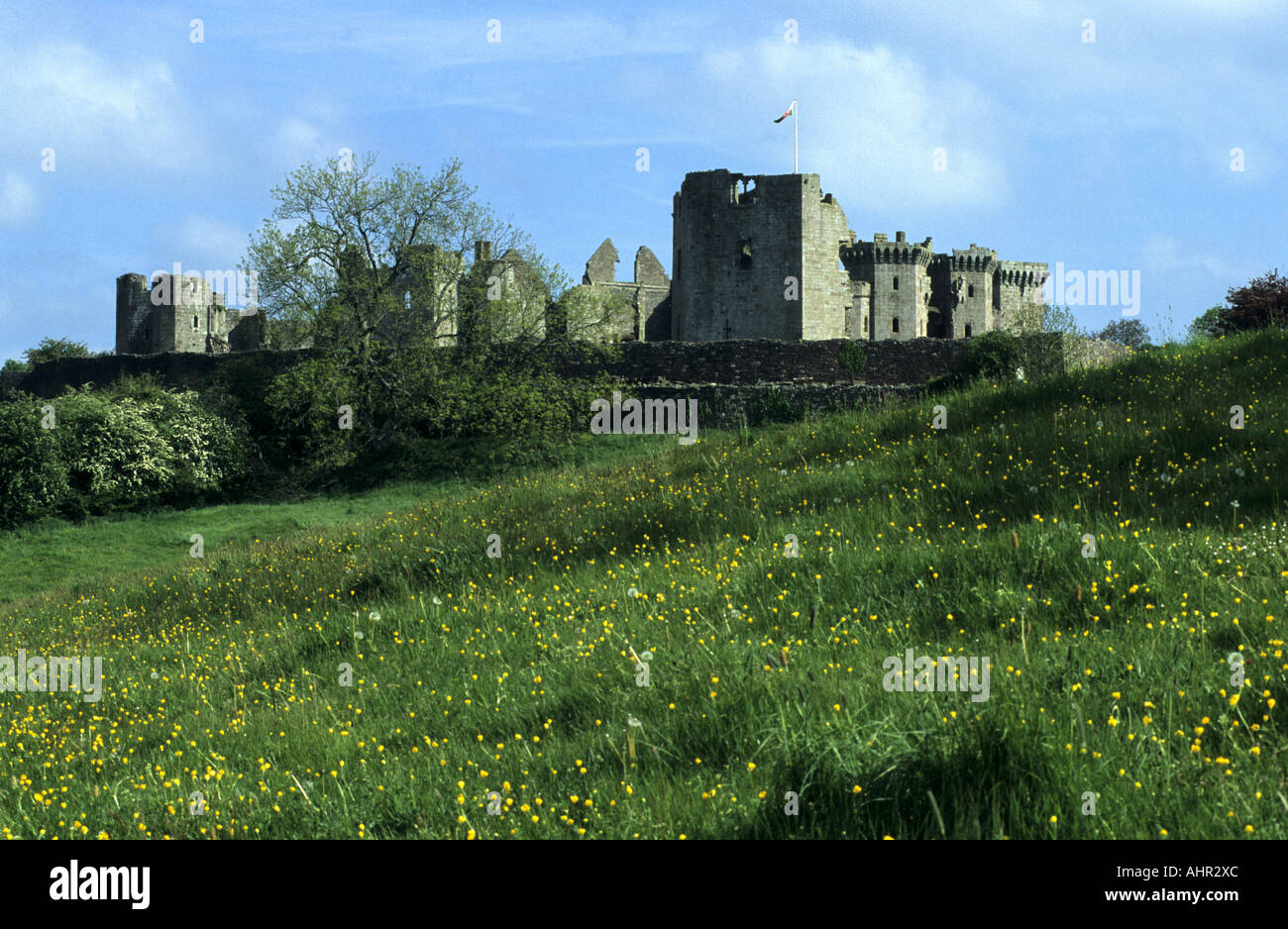 Raglan Castle, Monmouthshire, Wales, UK Stock Photo - Alamy