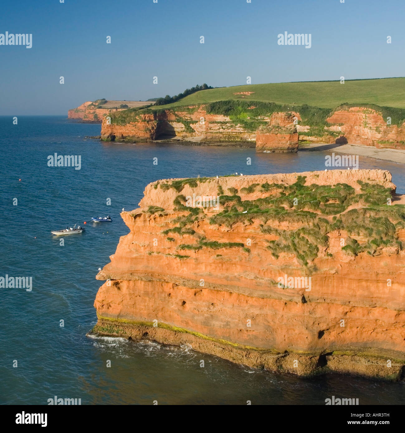 UK England Devon red cliffs of Ladram Bay Stock Photo - Alamy