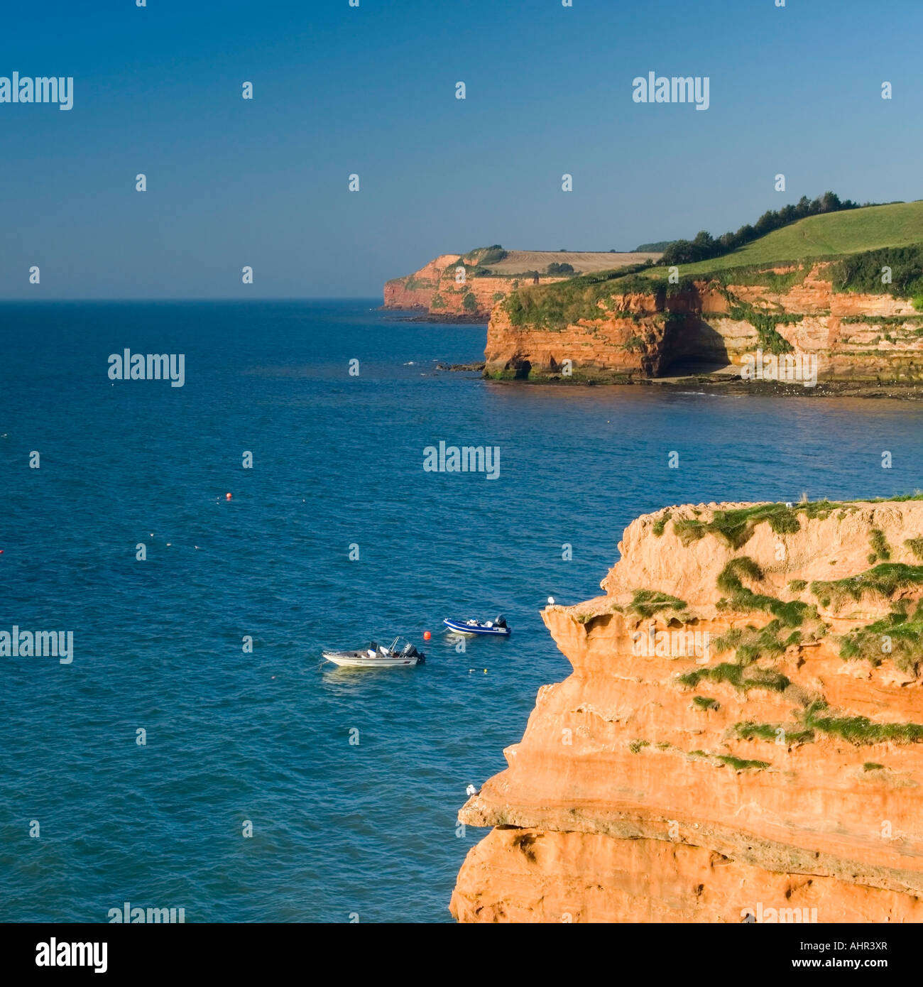 UK England Devon red cliffs of Ladram Bay Stock Photo - Alamy