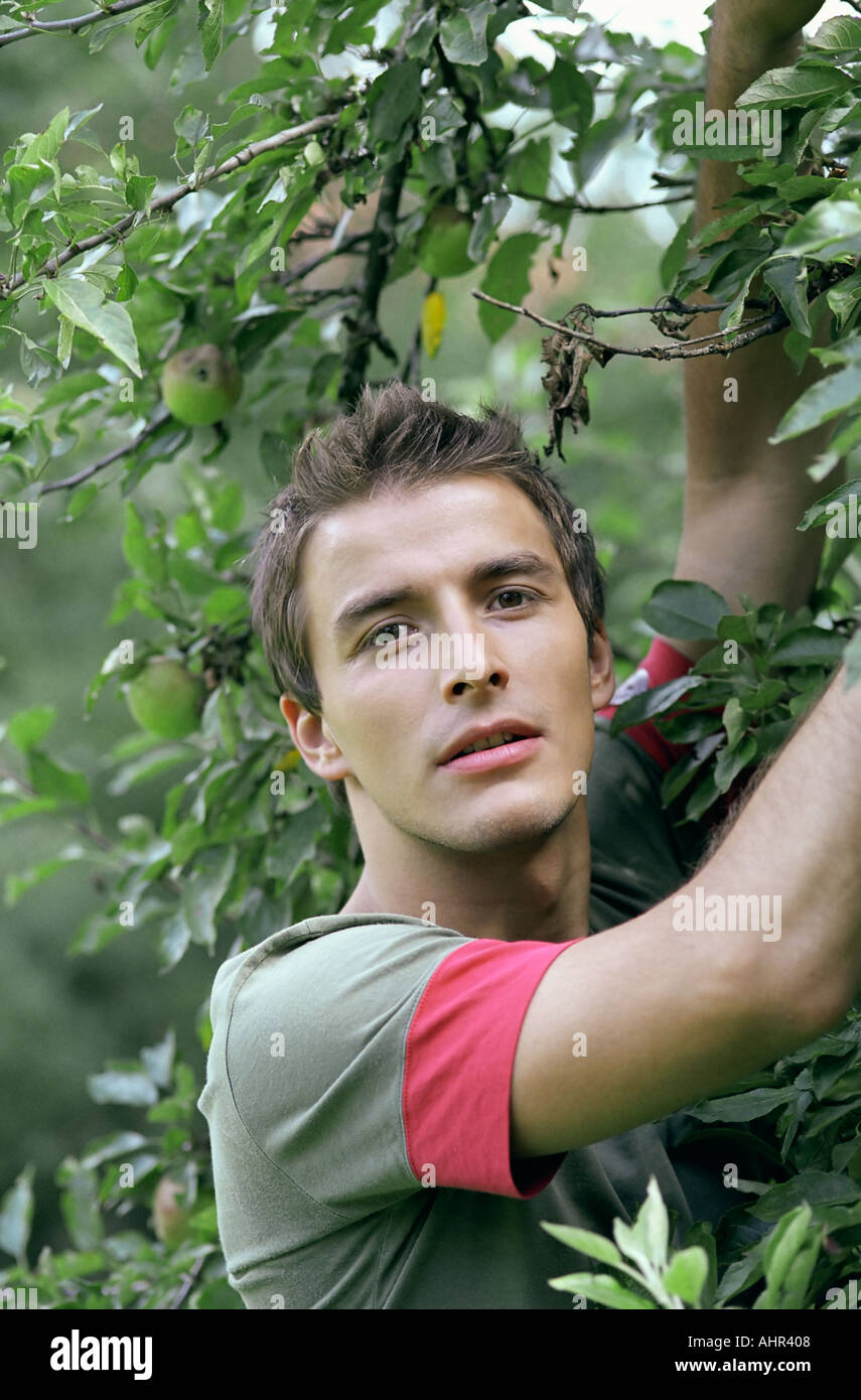 Man under apple tree hi-res stock photography and images - Alamy