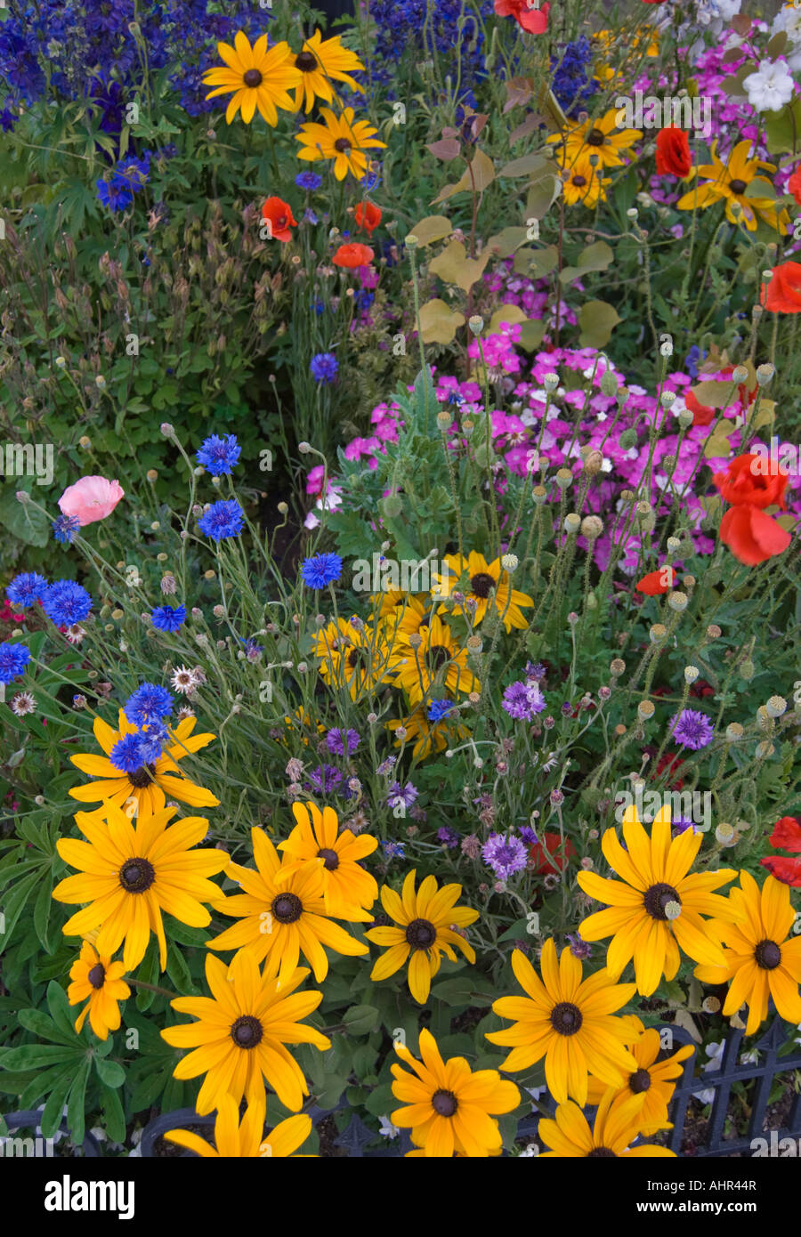 A profusion of brightly colored garden flowers Stock Photo - Alamy