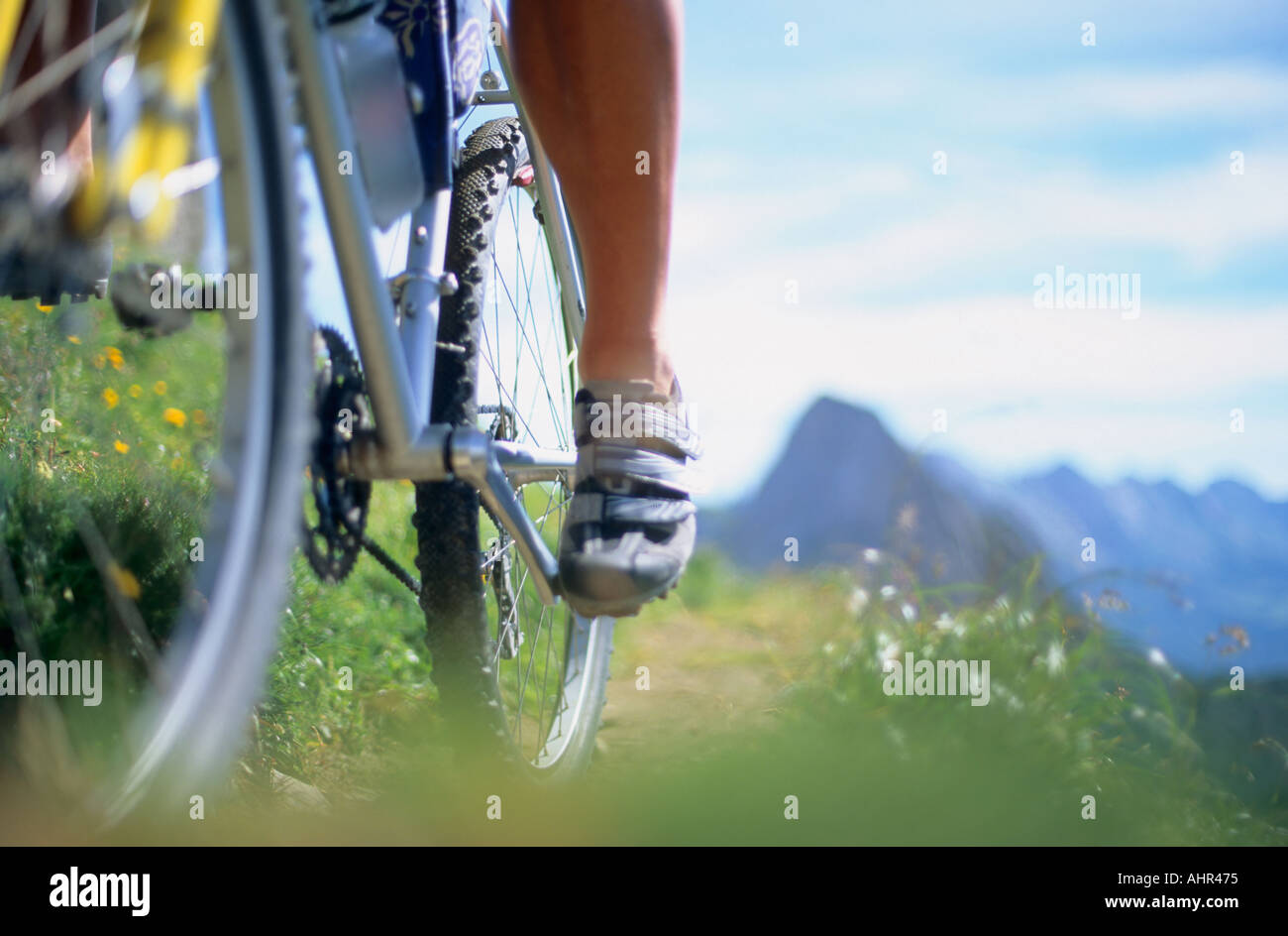 Cyclist anatomy hi-res stock photography and images - Alamy