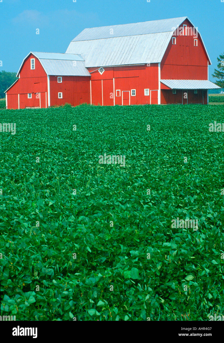 Maize field usa and red barn hi-res stock photography and images - Alamy