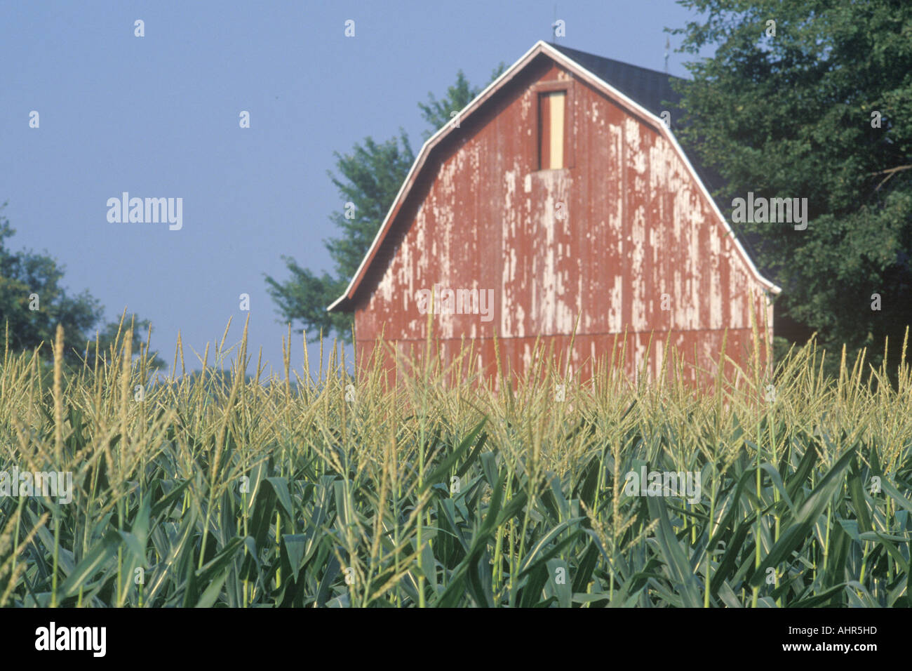 Indiana farm color hi-res stock photography and images - Alamy