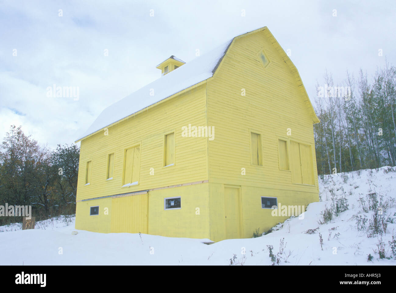 Yellow barn in snow MI Stock Photo - Alamy