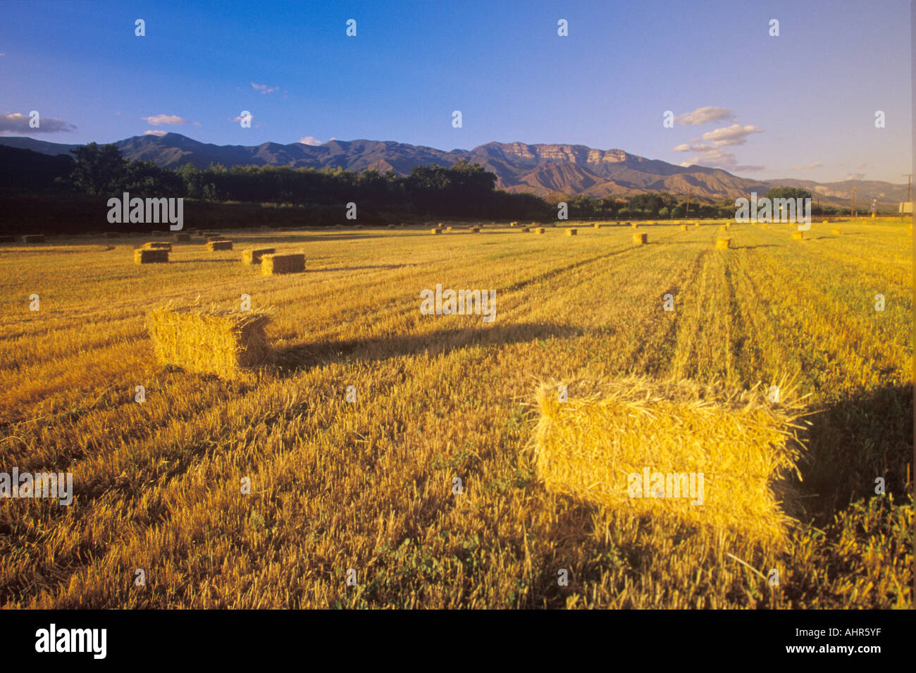 Topa topa mountains hi-res stock photography and images - Alamy
