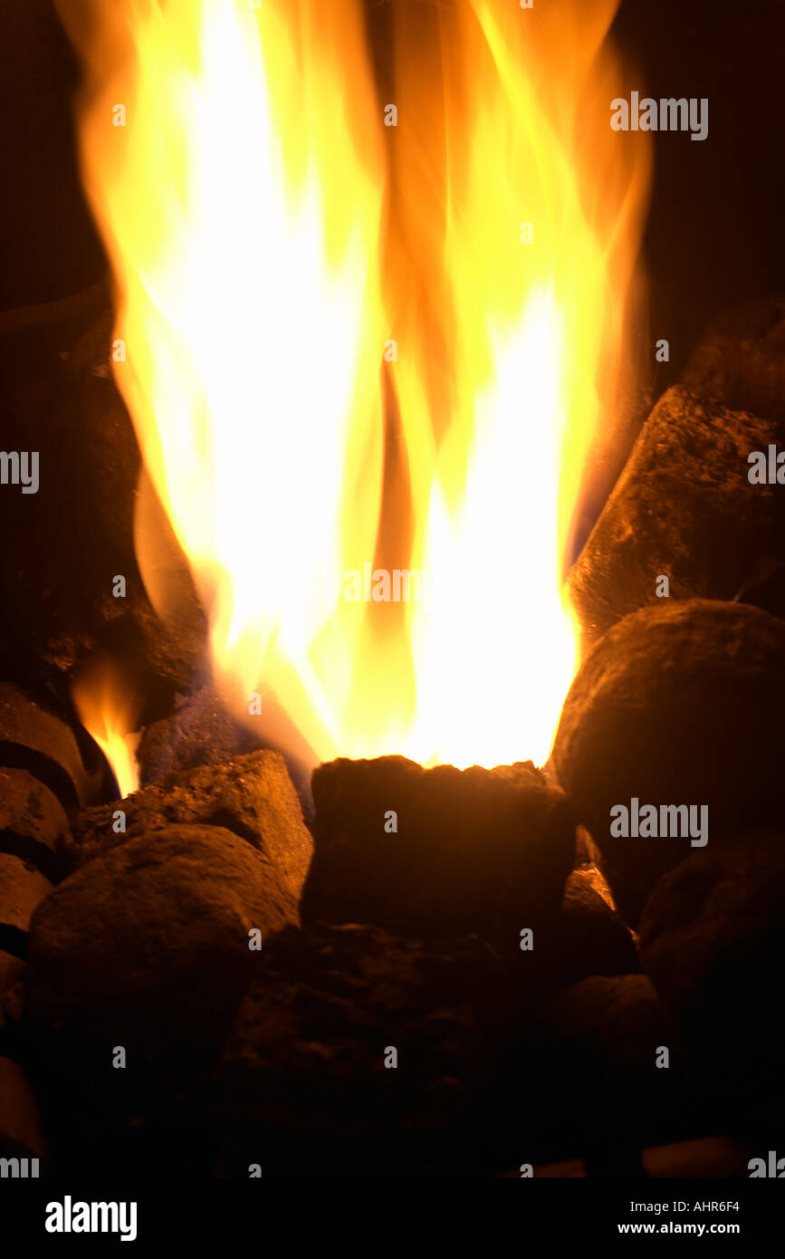 Burning real flame gas fire Stock Photo - Alamy