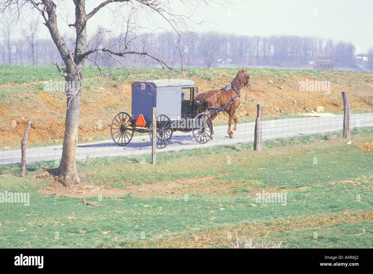 A horse and carriage in an Amish farming community Stock Photo - Alamy