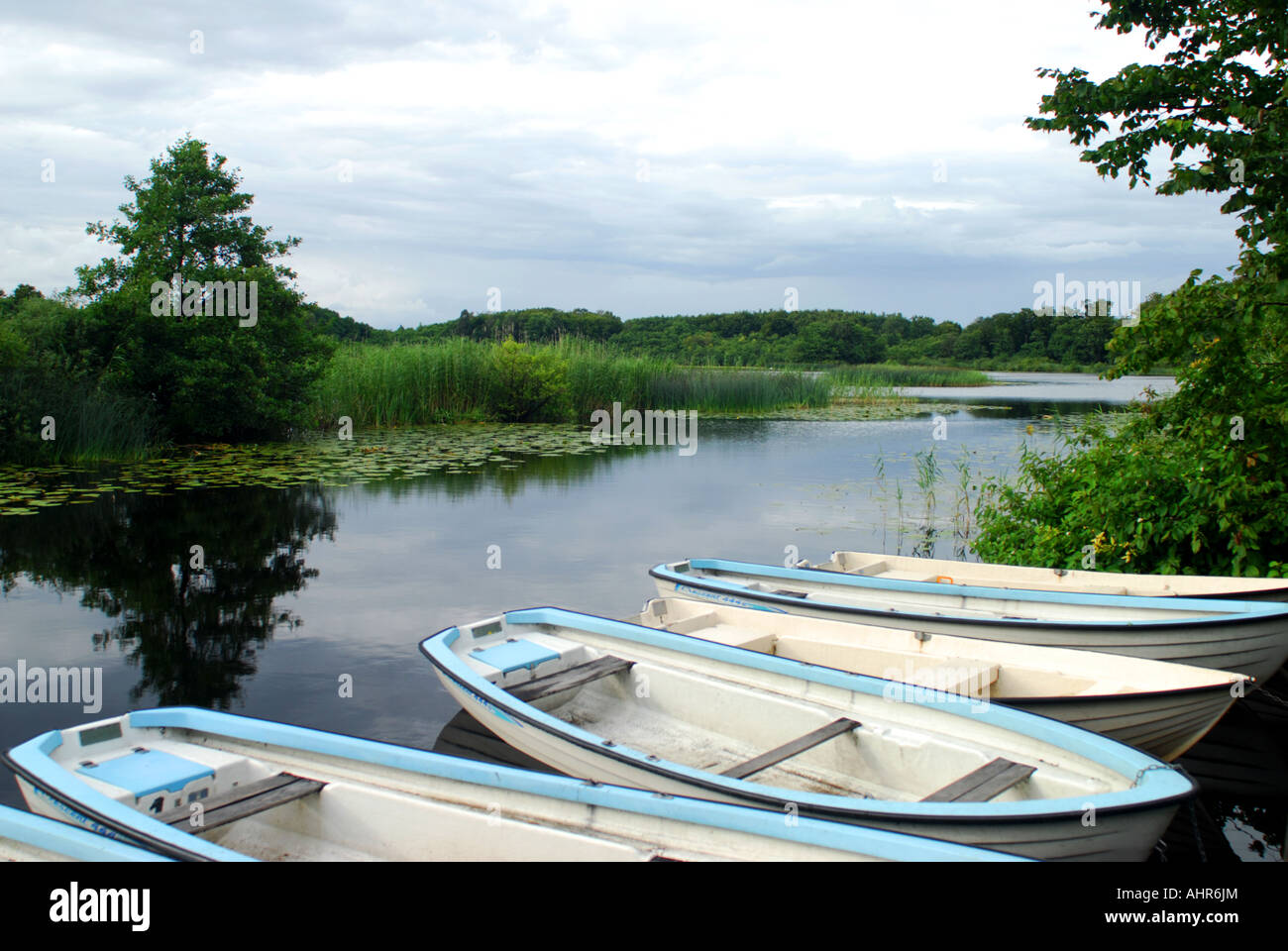 Svaneholm lake which surrounds the castle of the same name. The history ...