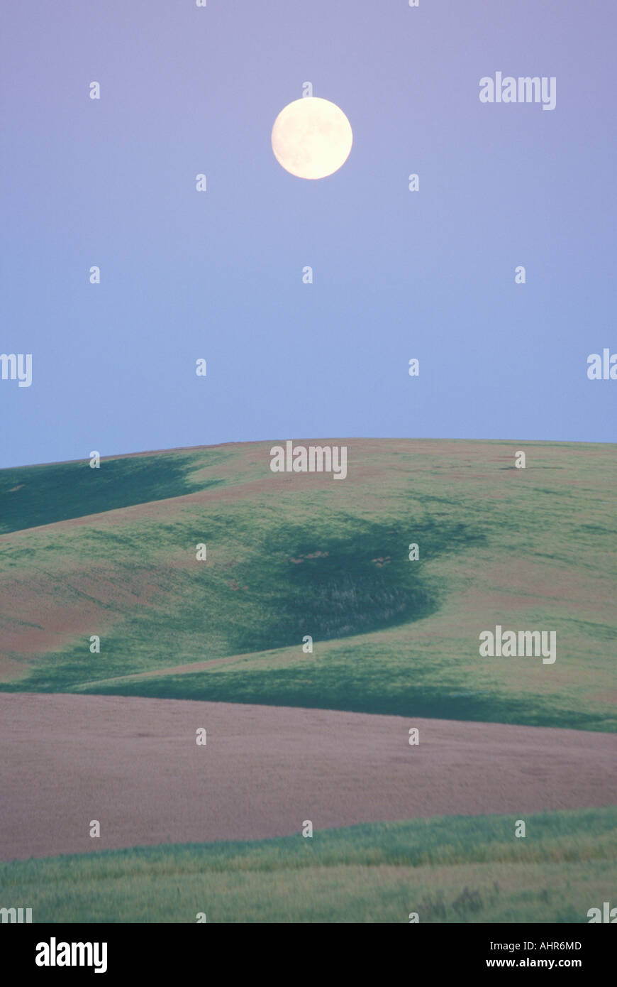 Moon rising over washington hi-res stock photography and images - Alamy