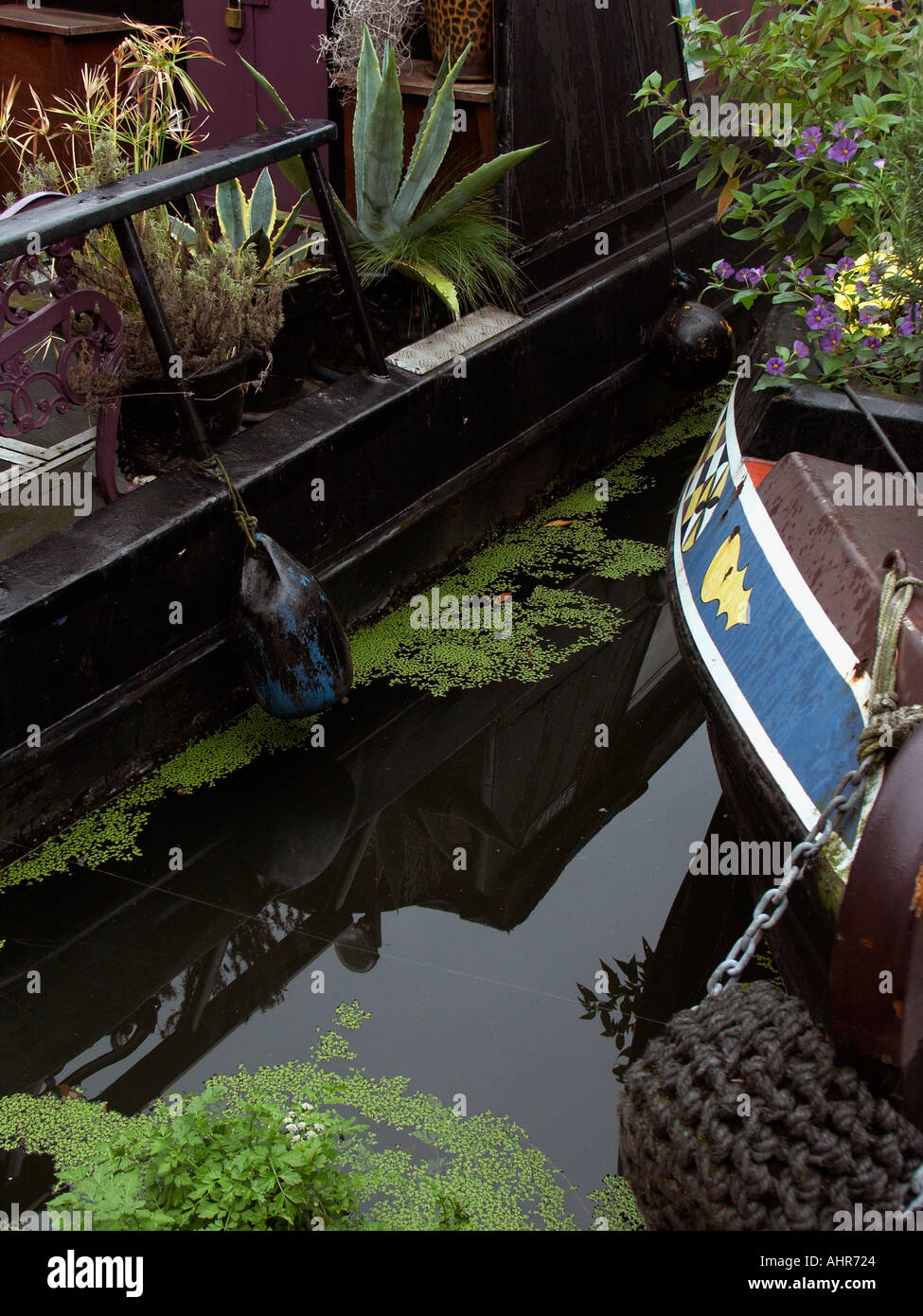 Floating on algae hi-res stock photography and images - Alamy