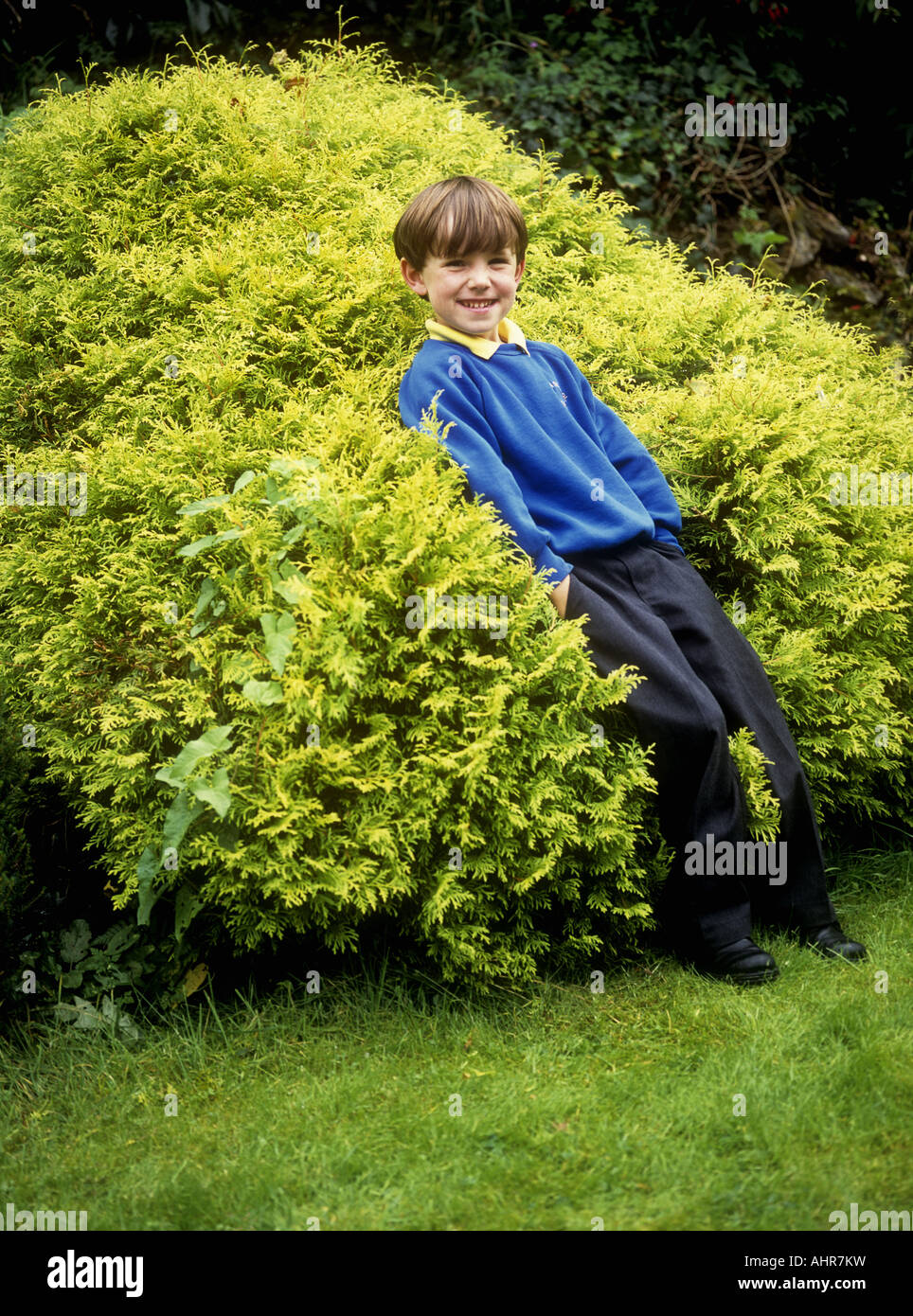 Young boy wearing school uniform looking cheeky, England, UK Stock ...