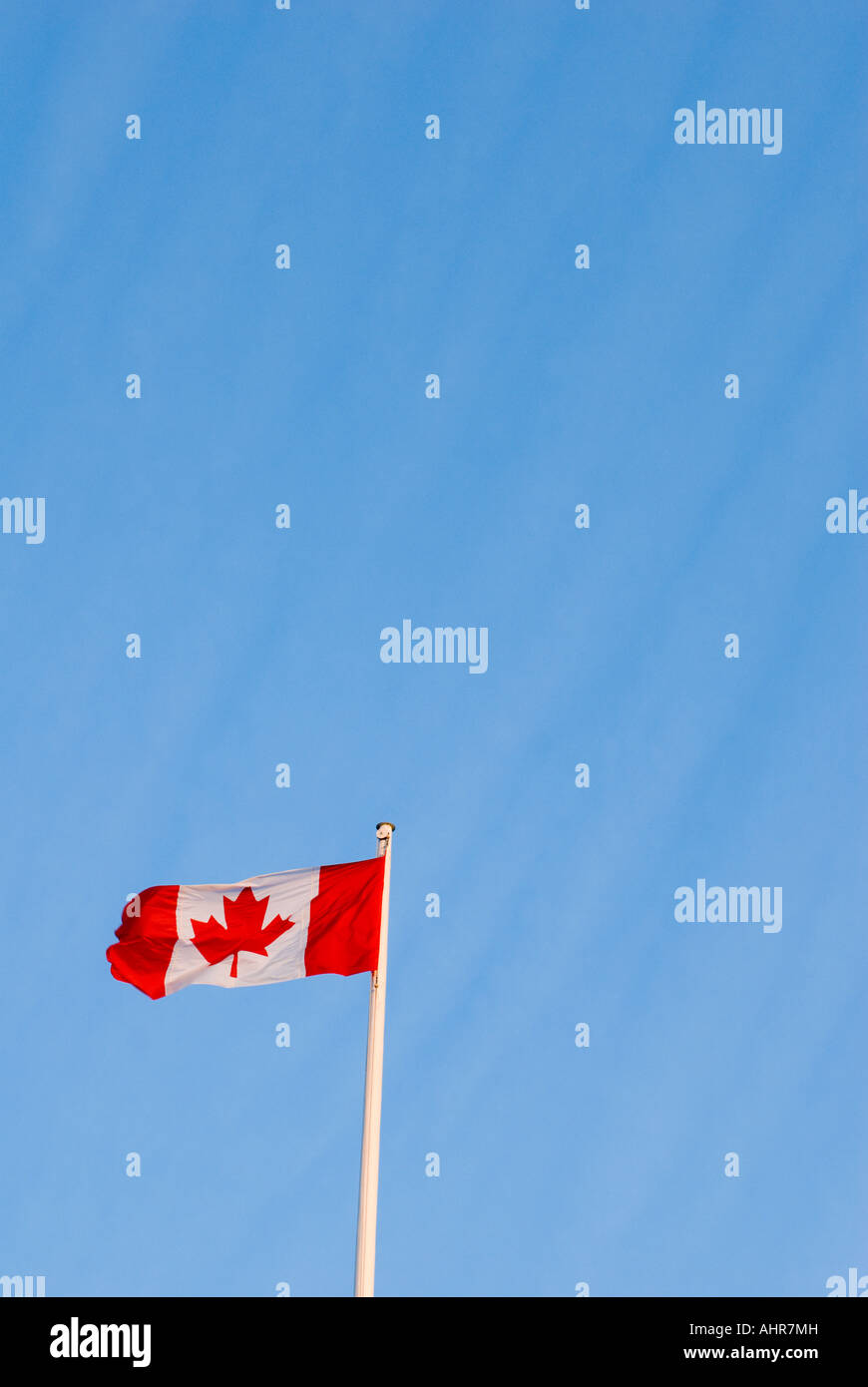 A Canadian Flag on a flagpole Victoria BC Stock Photo - Alamy