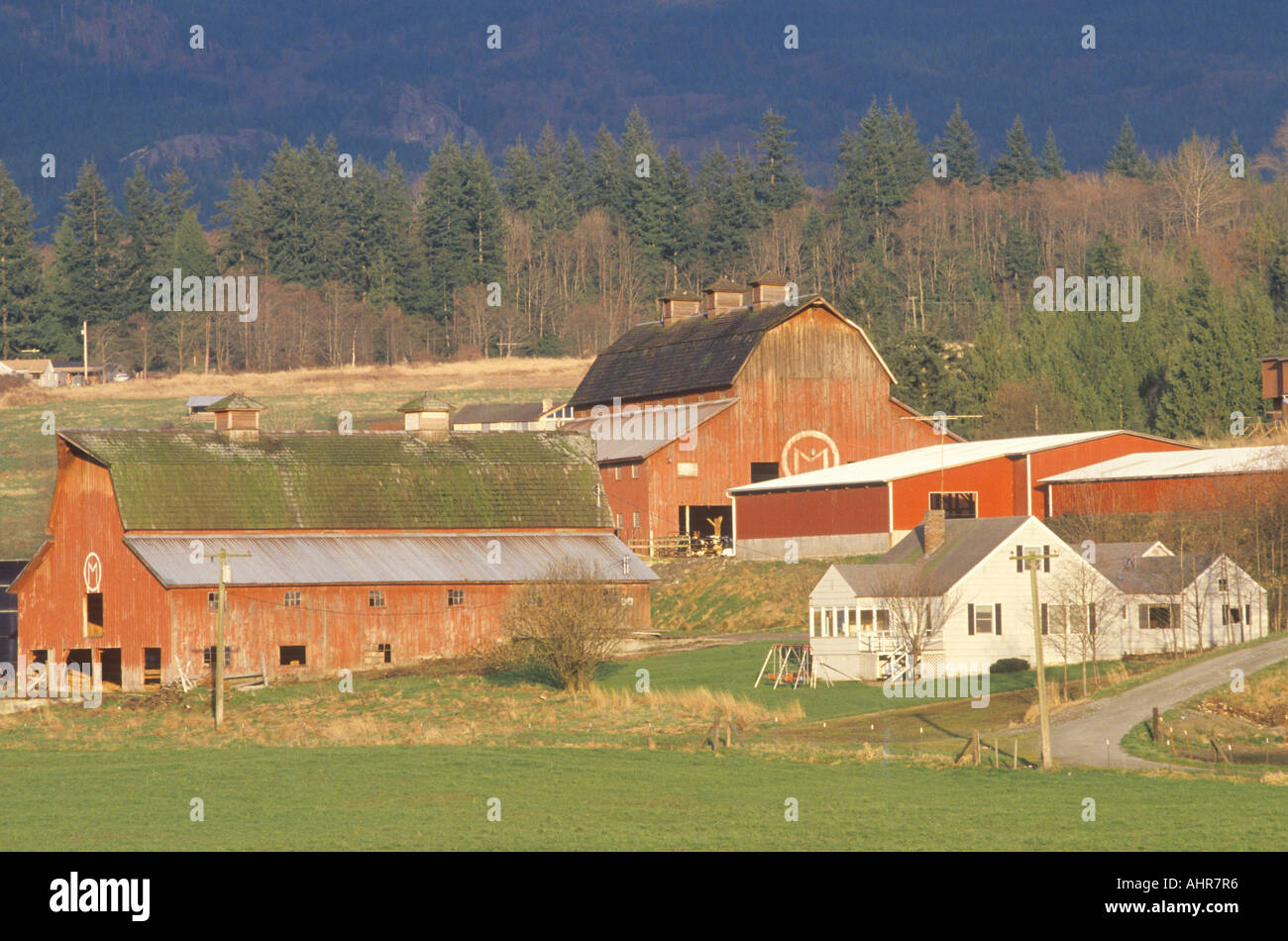 A farm in Northeast WA with trees and mountains in the background Stock ...